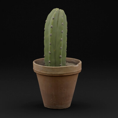 Realistic Cactus Pot - 3D Model by Green Lander