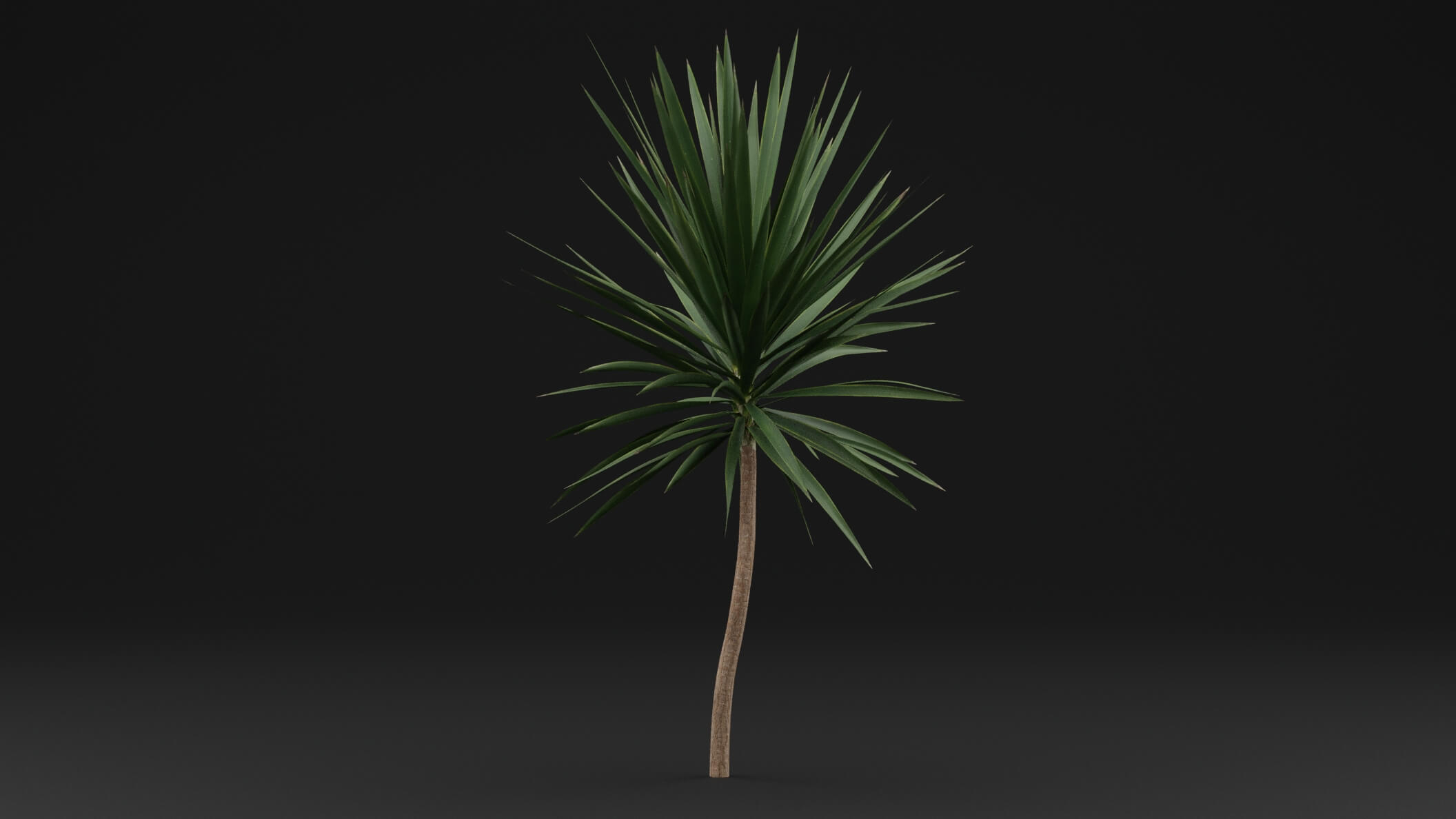 Realistic Garden Plant - 3D Model by Green Lander