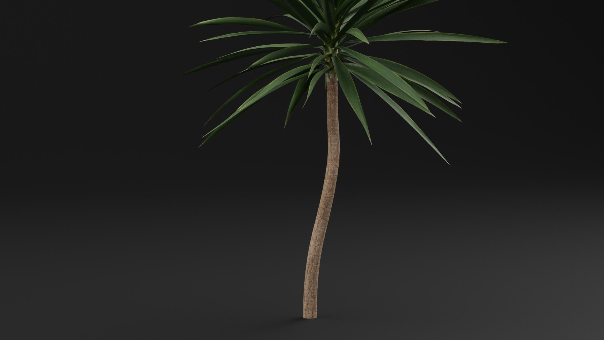 Realistic Garden Plant - 3D Model by Green Lander