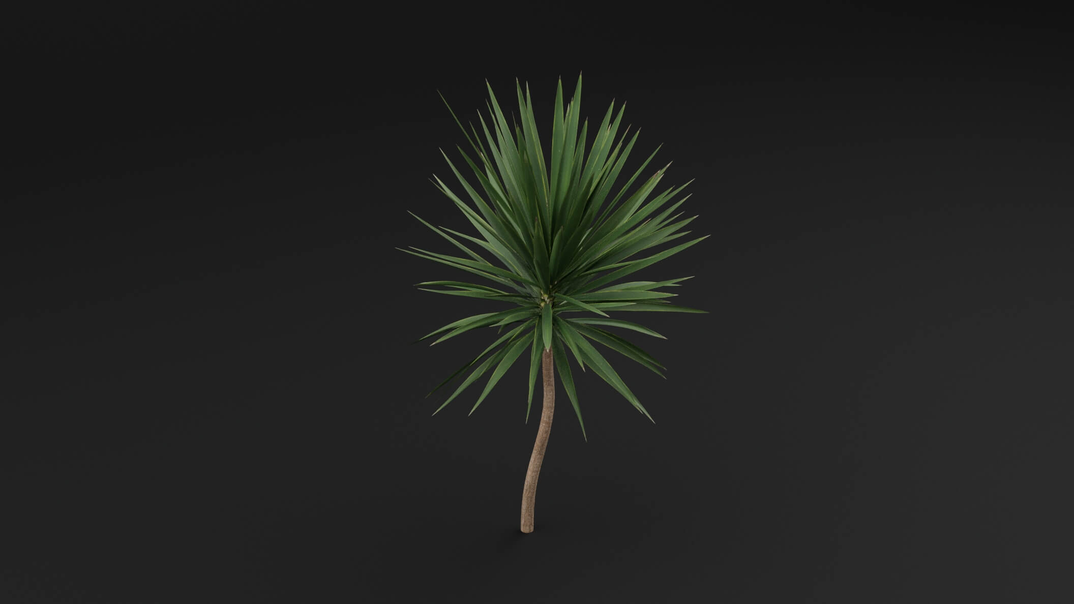 Realistic Garden Plant - 3D Model by Green Lander