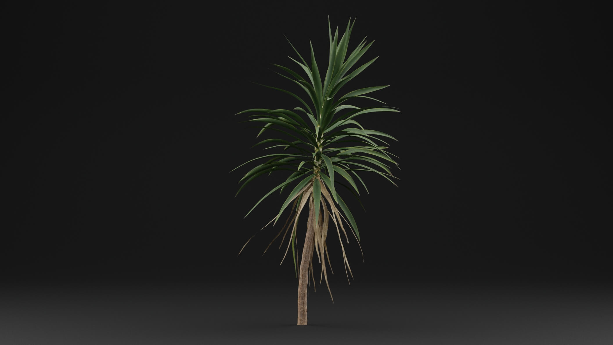 Realistic Garden Plant - 3D Model by Green Lander