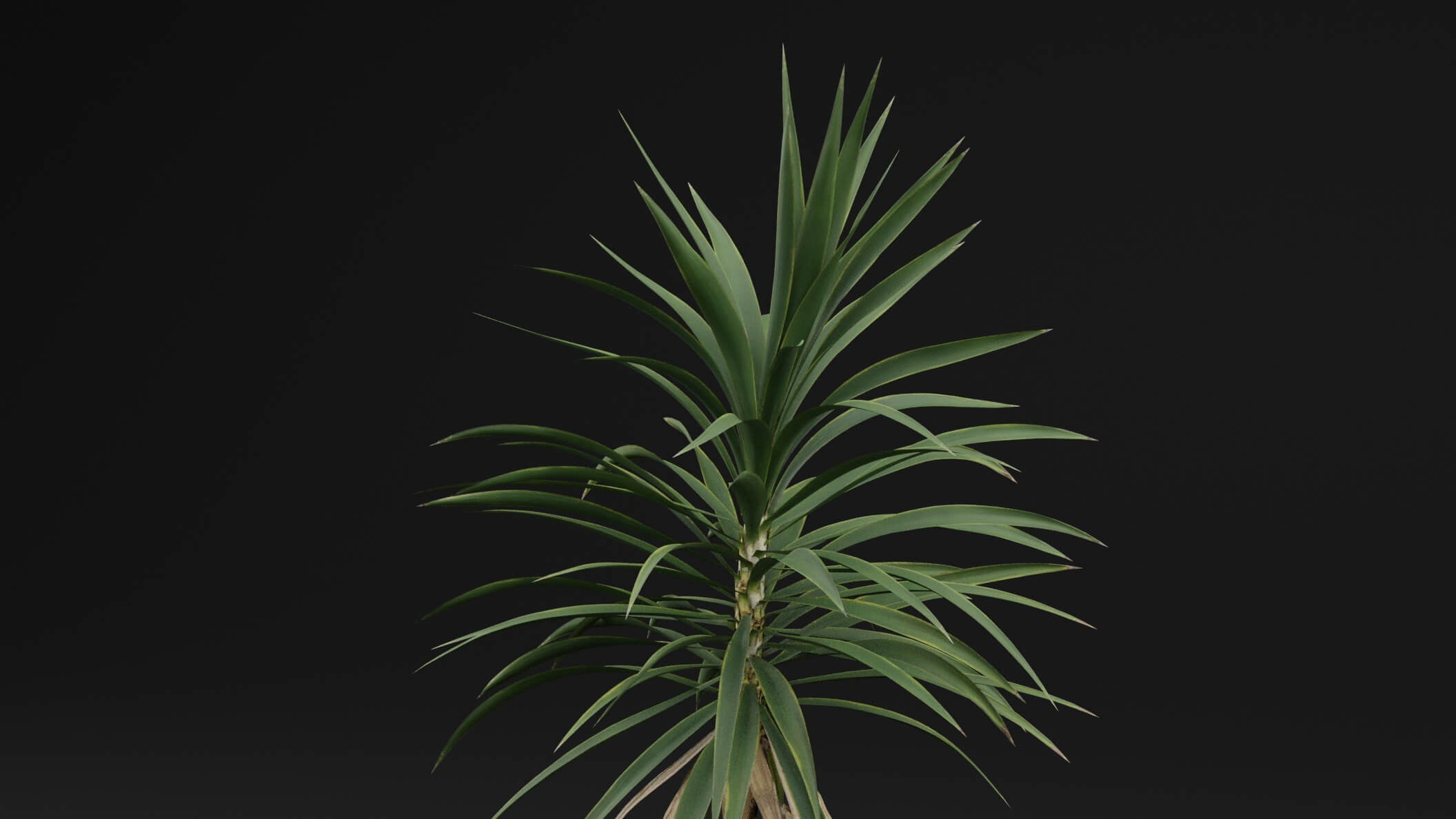 Realistic Garden Plant - 3D Model by Green Lander