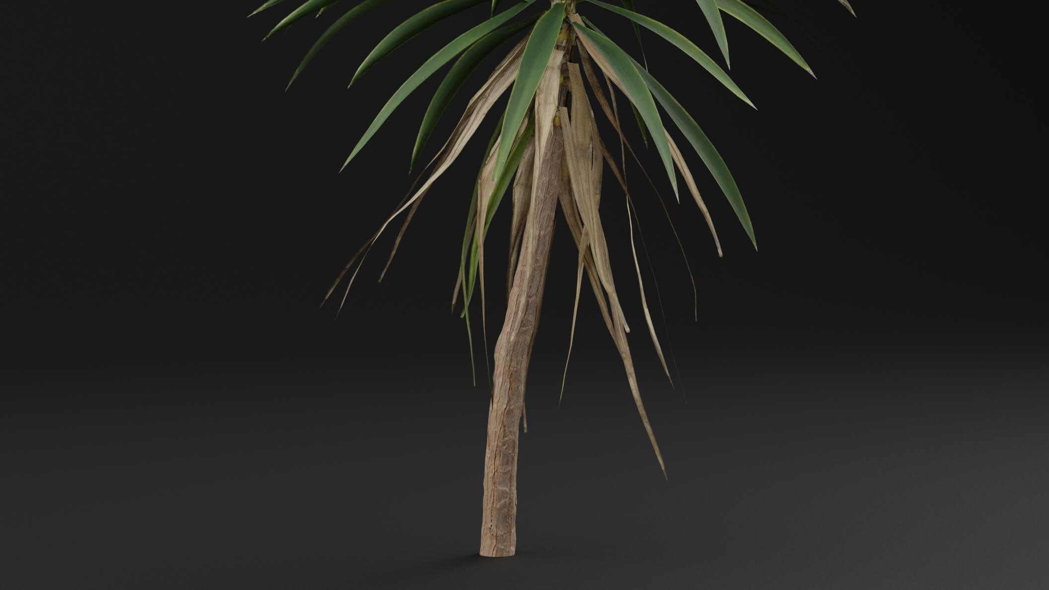 Realistic Garden Plant - 3D Model by Green Lander