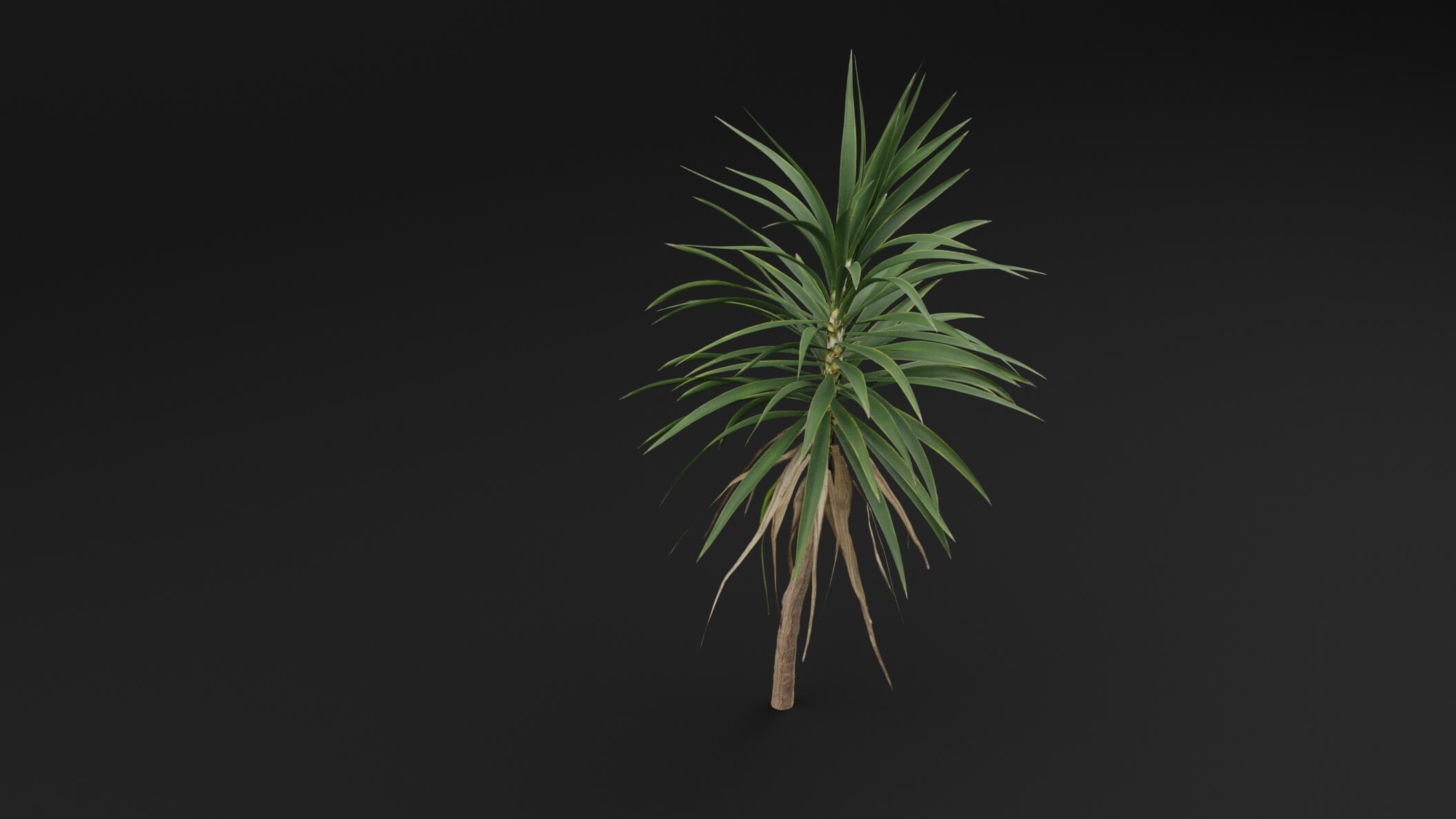 Realistic Garden Plant - 3D Model by Green Lander