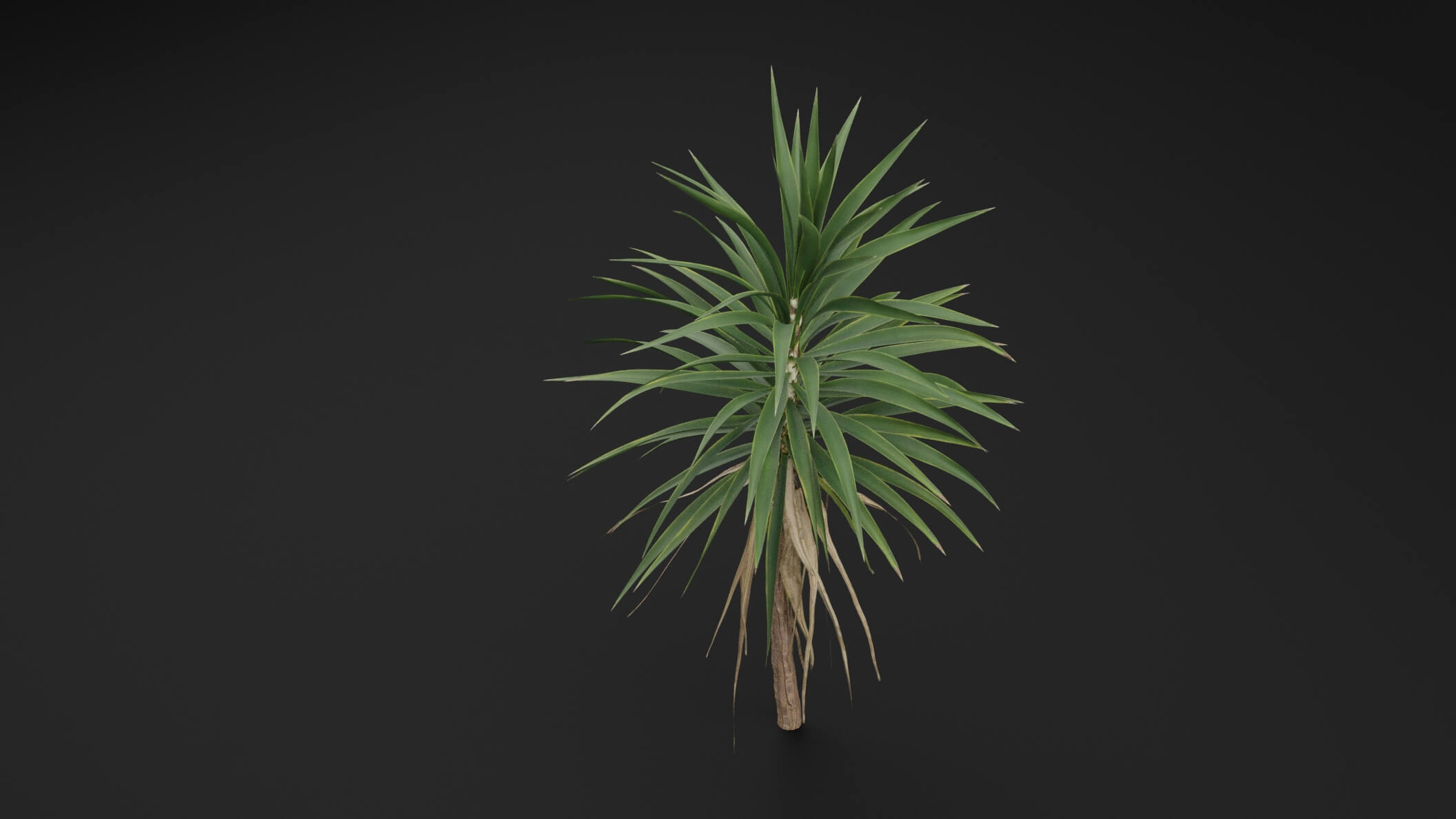 Realistic Garden Plant - 3D Model by Green Lander