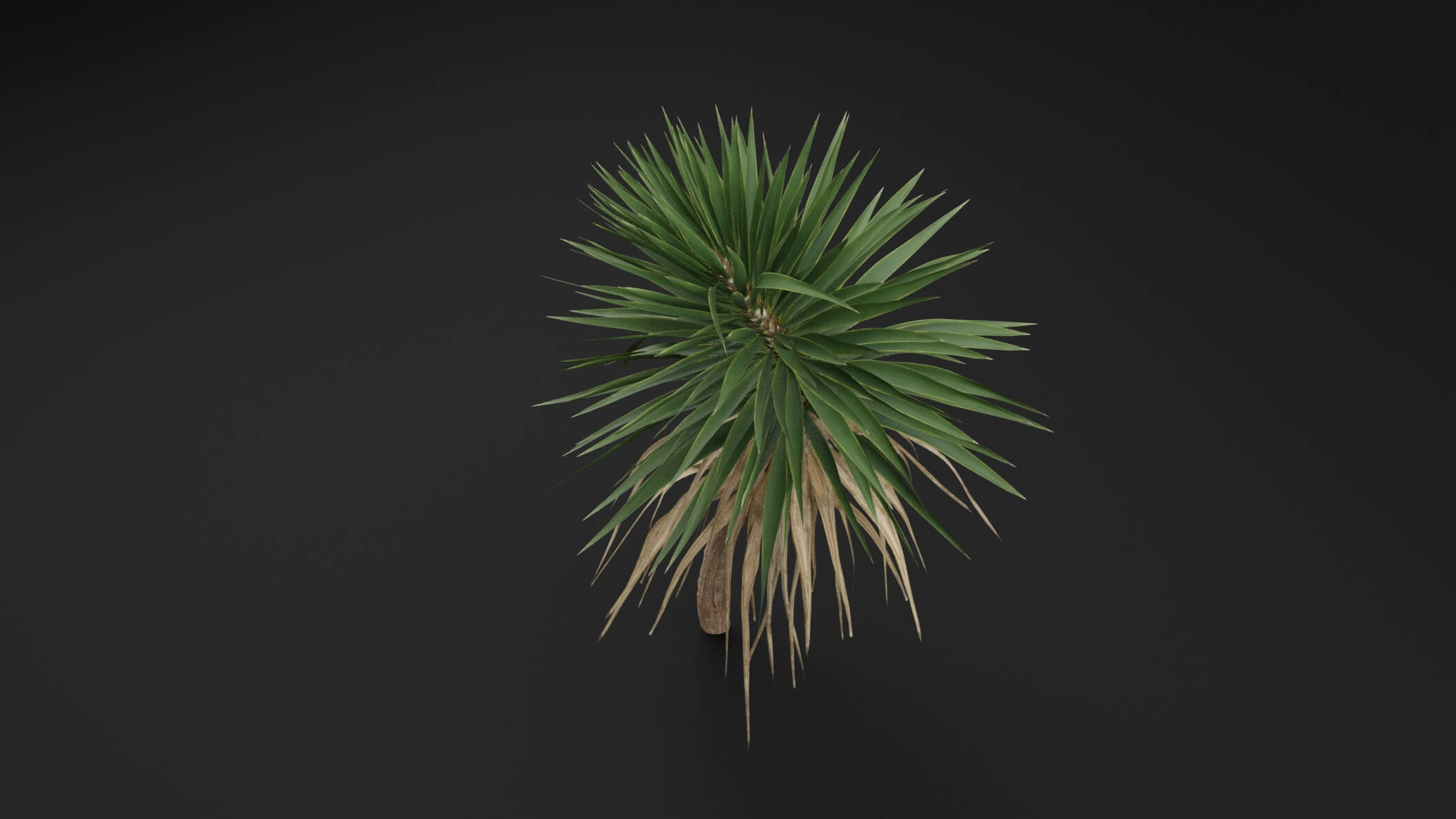 Realistic Garden Plant - 3D Model by Green Lander