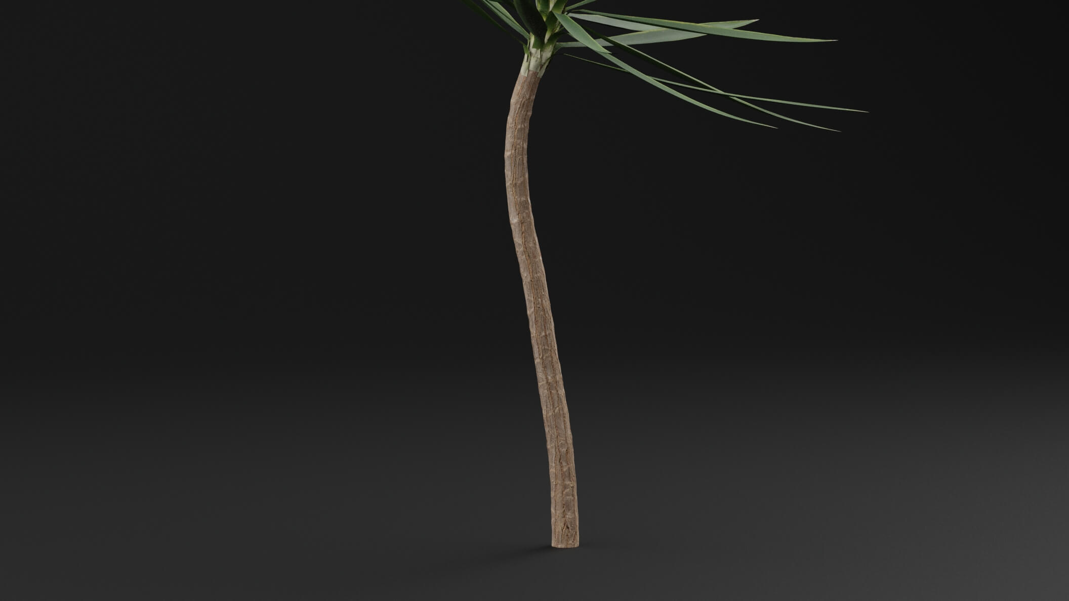 Realistic Garden Plant - 3D Model by Green Lander