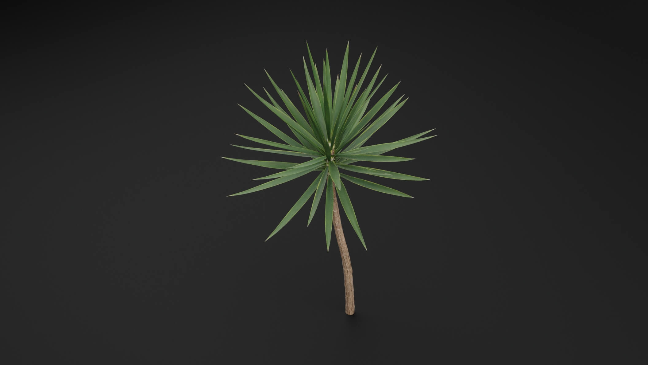 Realistic Garden Plant - 3D Model by Green Lander