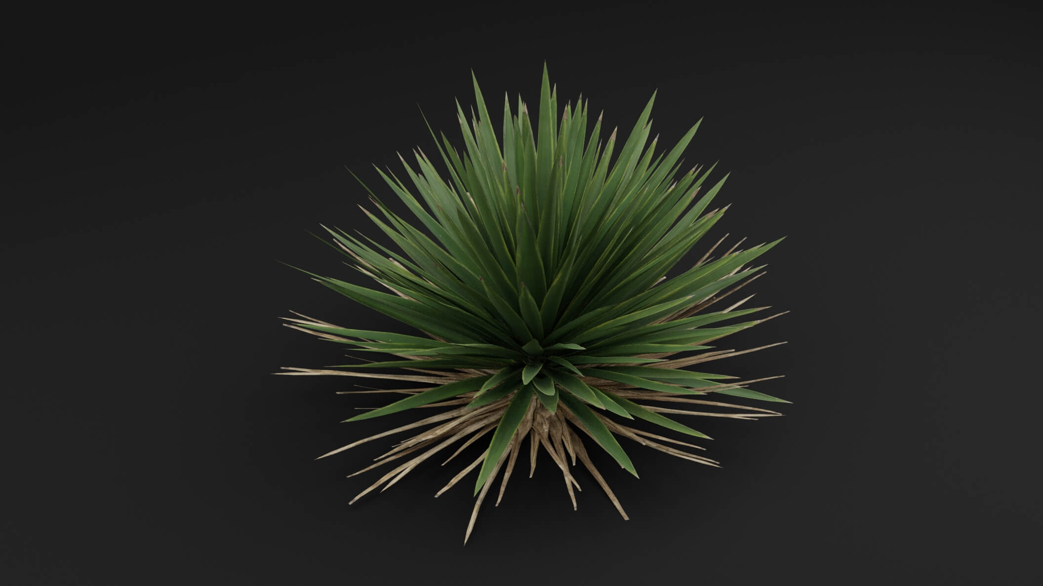 Realistic Garden Plant - 3D Model by Green Lander