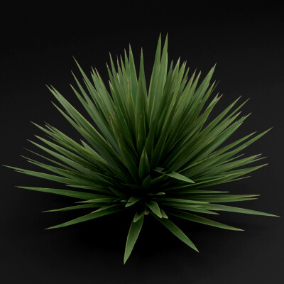 Realistic Garden Plant - 3D Model by Green Lander