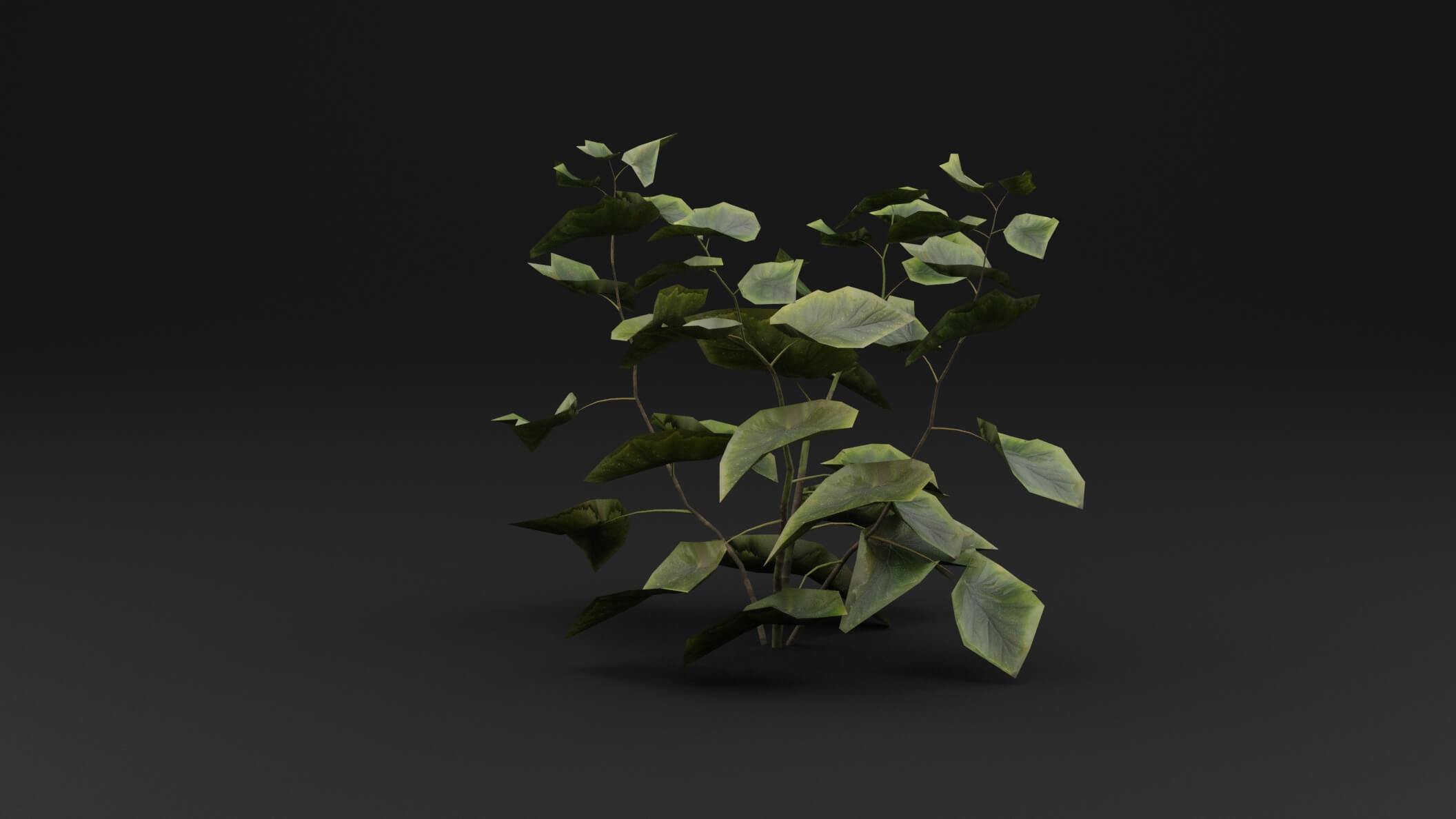 Realistic Ground Plants - 3D Model by Green Lander