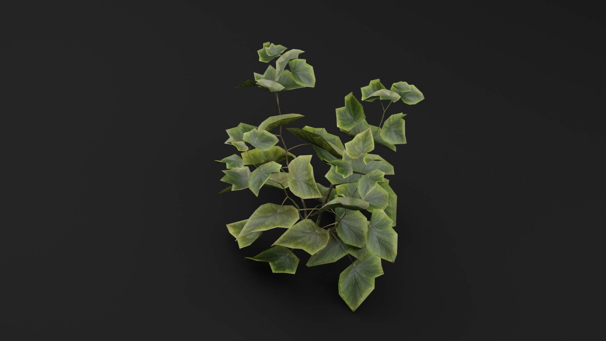 Realistic Ground Plants - 3D Model by Green Lander