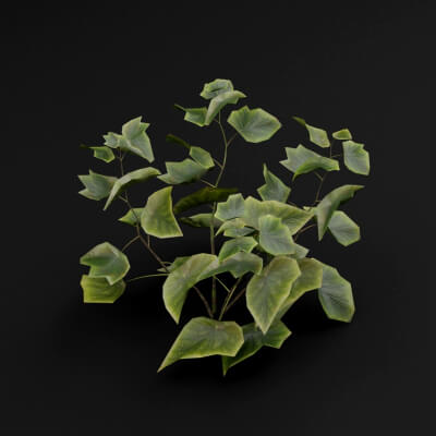 Realistic Ground Plants - 3D Model by Green Lander