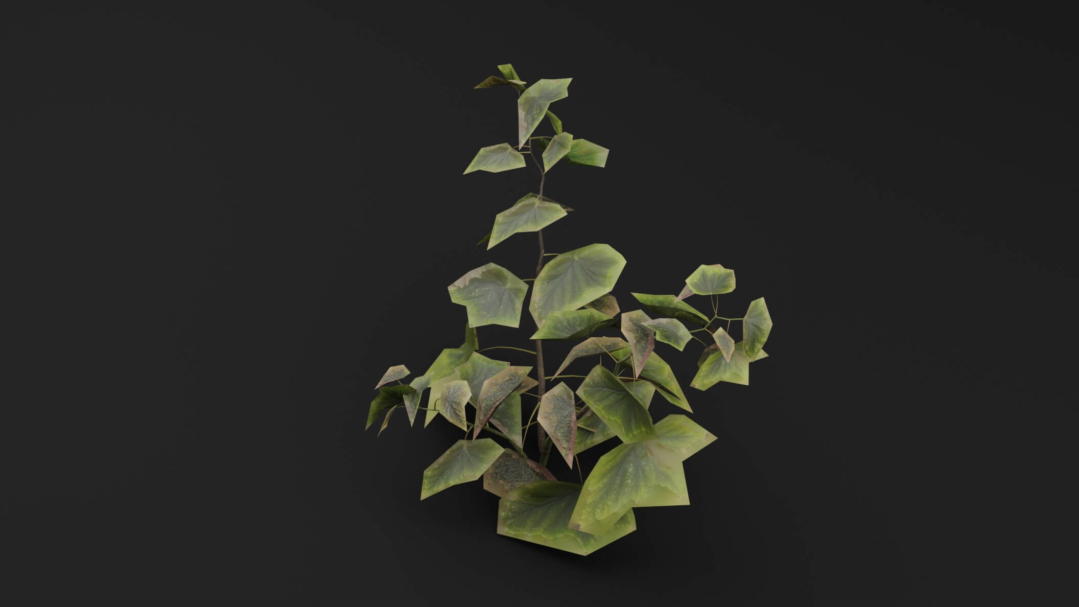 Realistic Ground Plants - 3D Model by Green Lander