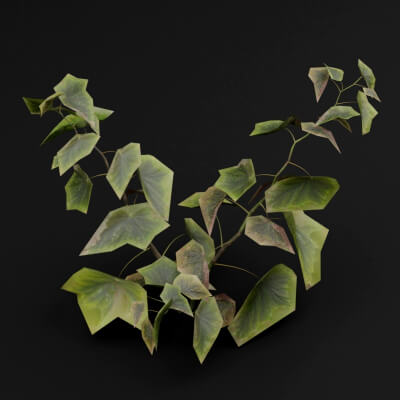 Realistic Ground Plants - 3D Model by Green Lander