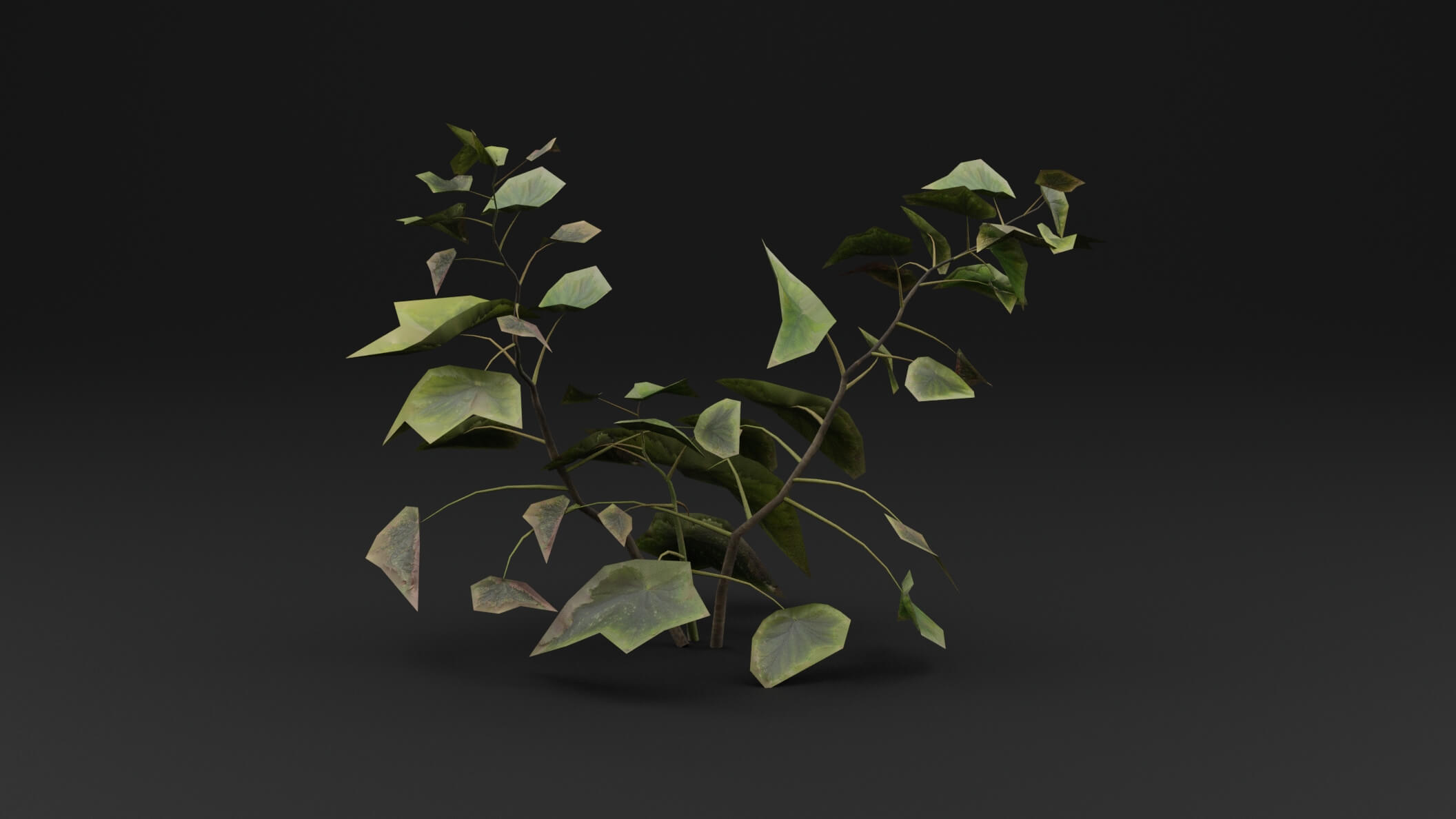 Realistic Ground Plants - 3D Model by Green Lander