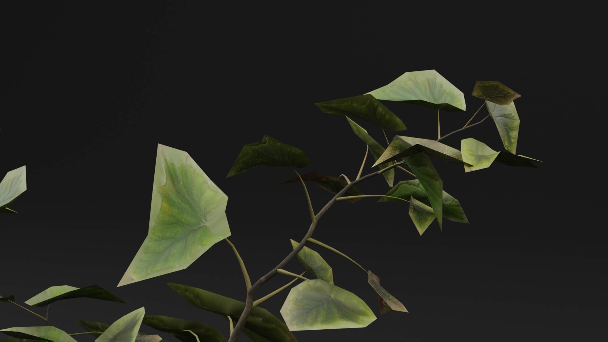 Realistic Ground Plants - 3D Model by Green Lander