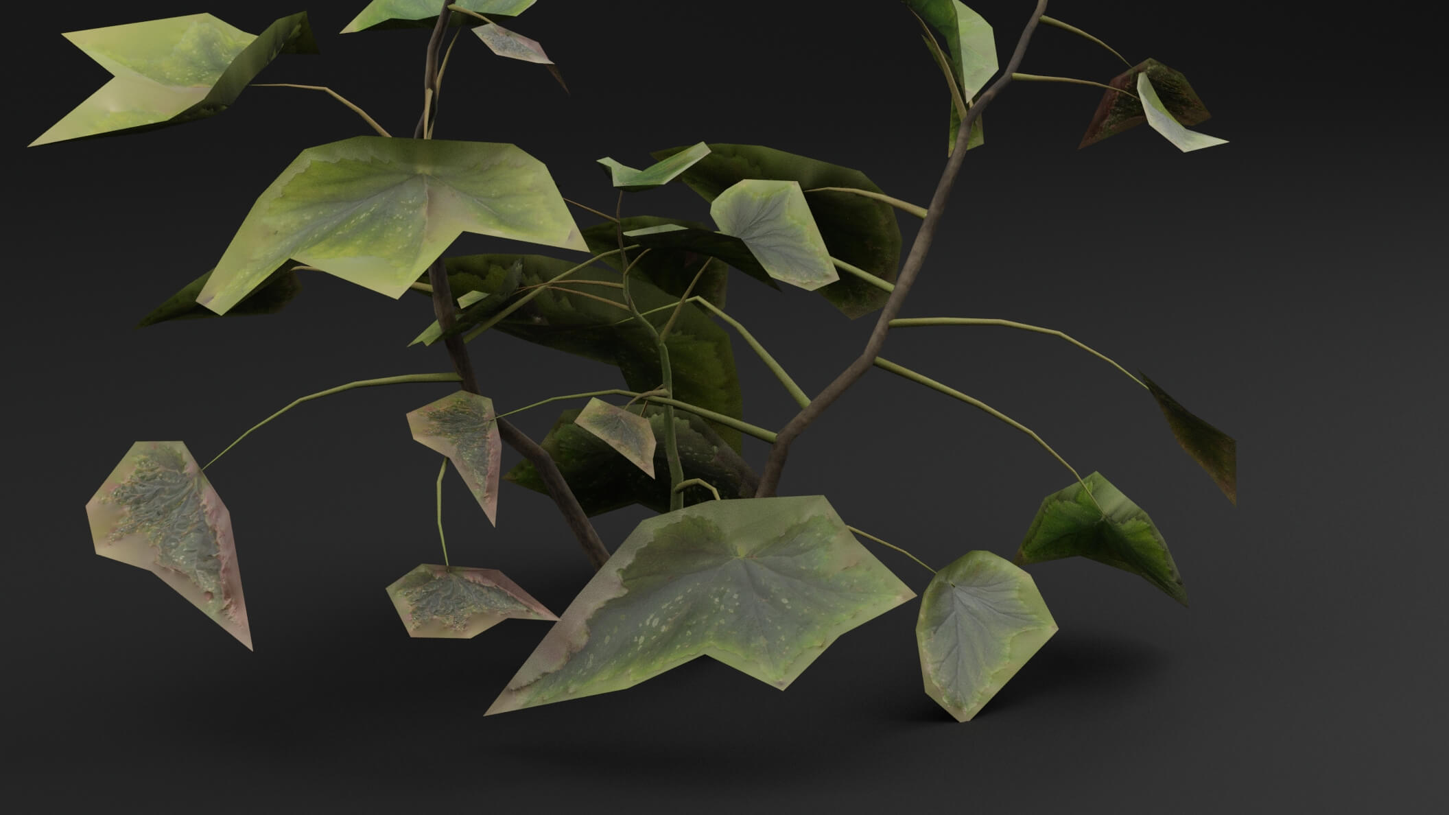 Realistic Ground Plants - 3D Model by Green Lander