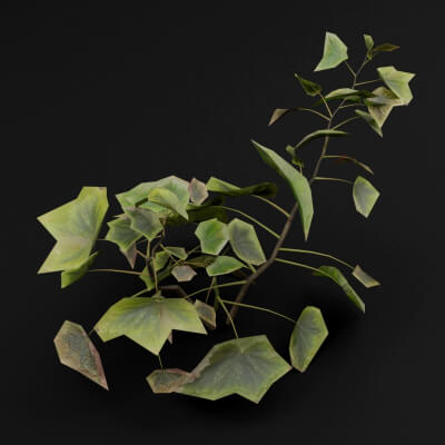 Realistic Ground Plants - 3D Model by Green Lander