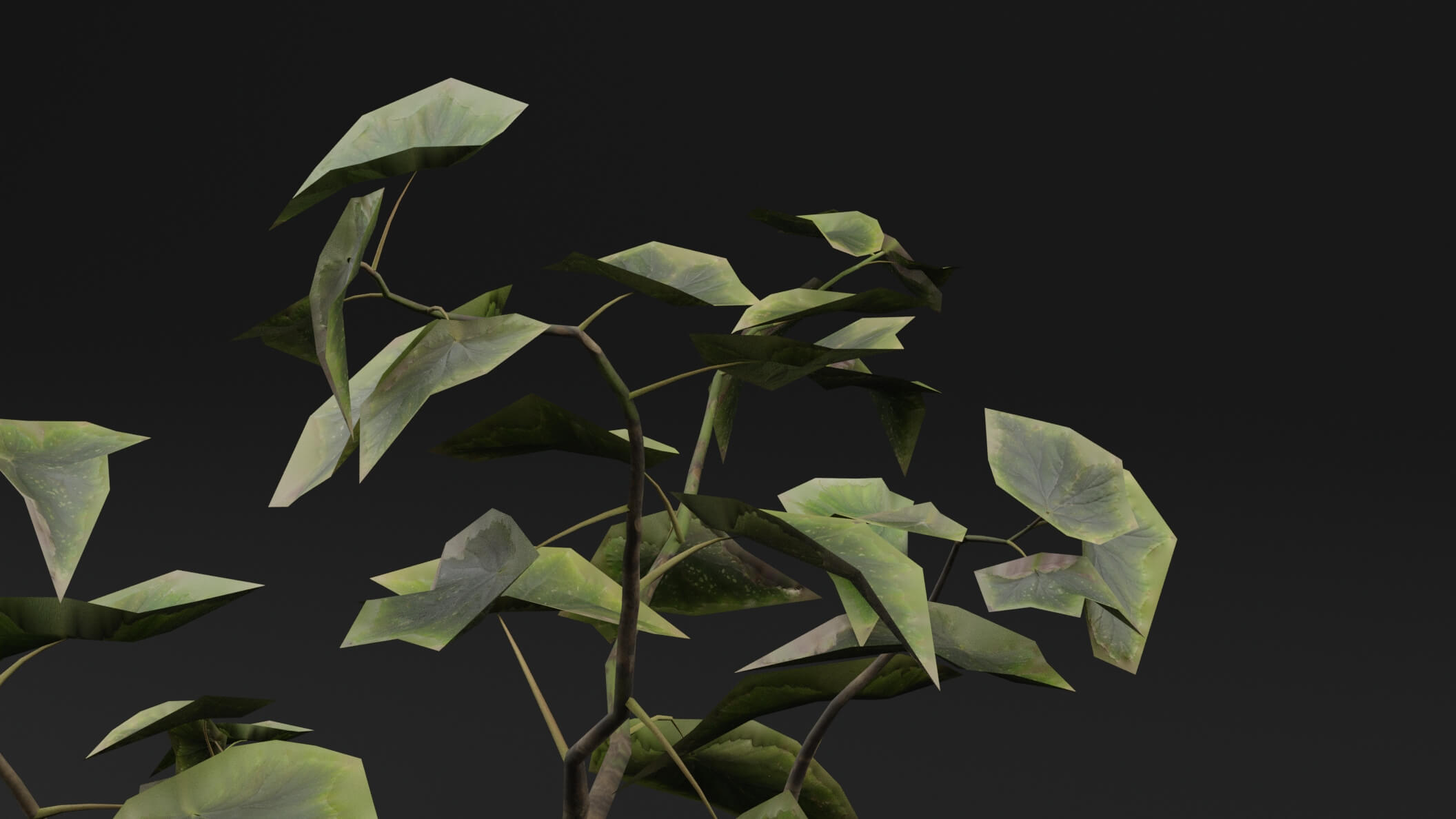 Realistic Ground Plants - 3D Model by Green Lander