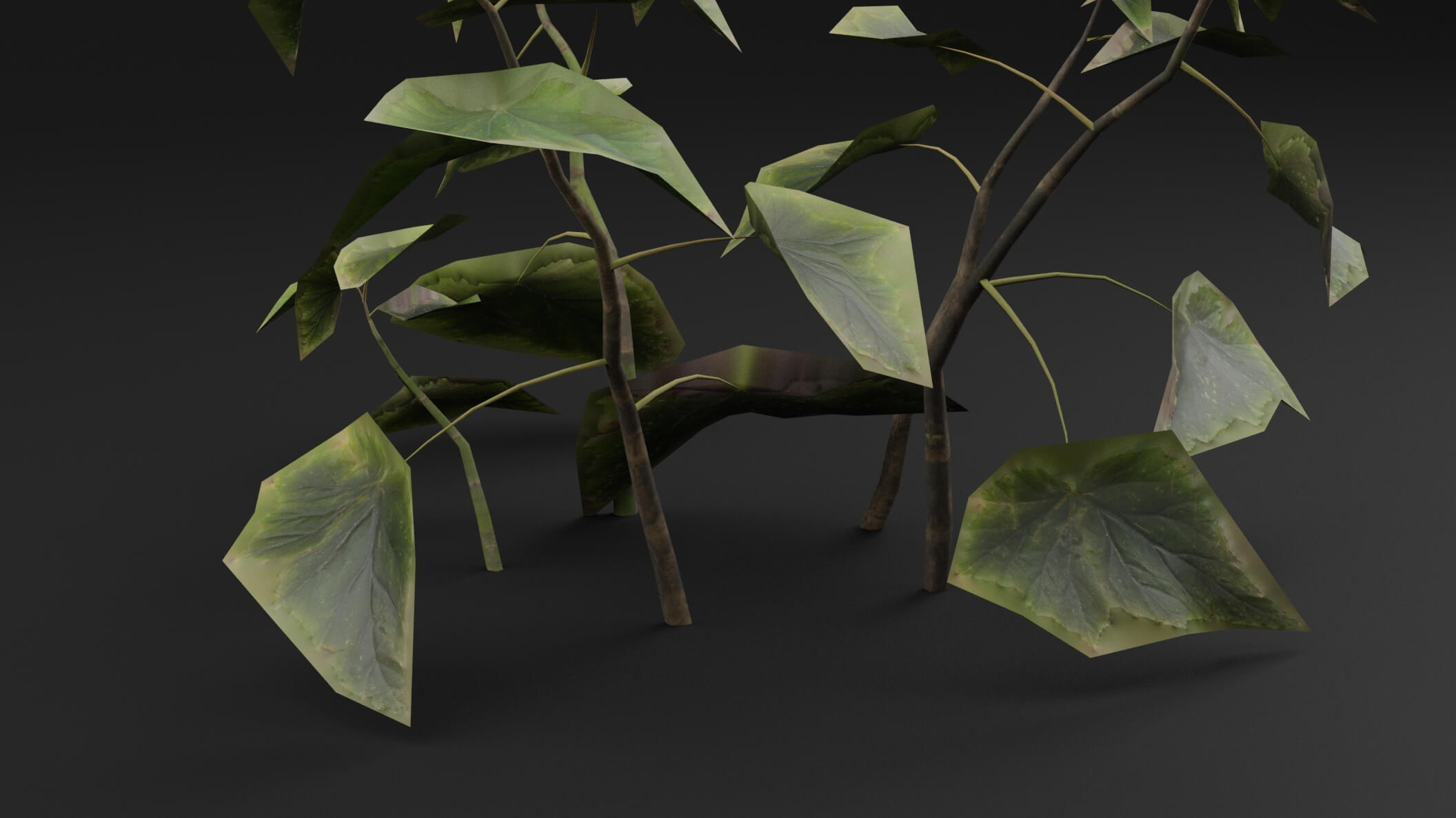 Realistic Ground Plants - 3D Model by Green Lander