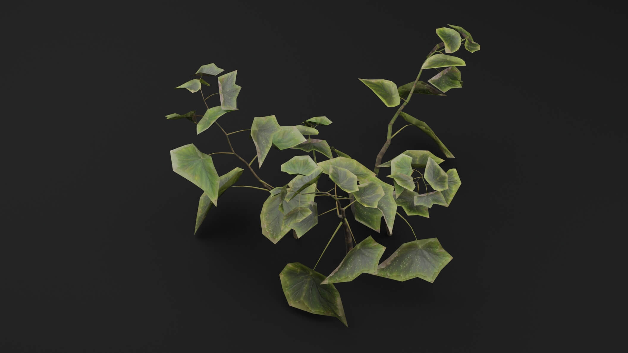 Realistic Ground Plants - 3D Model by Green Lander