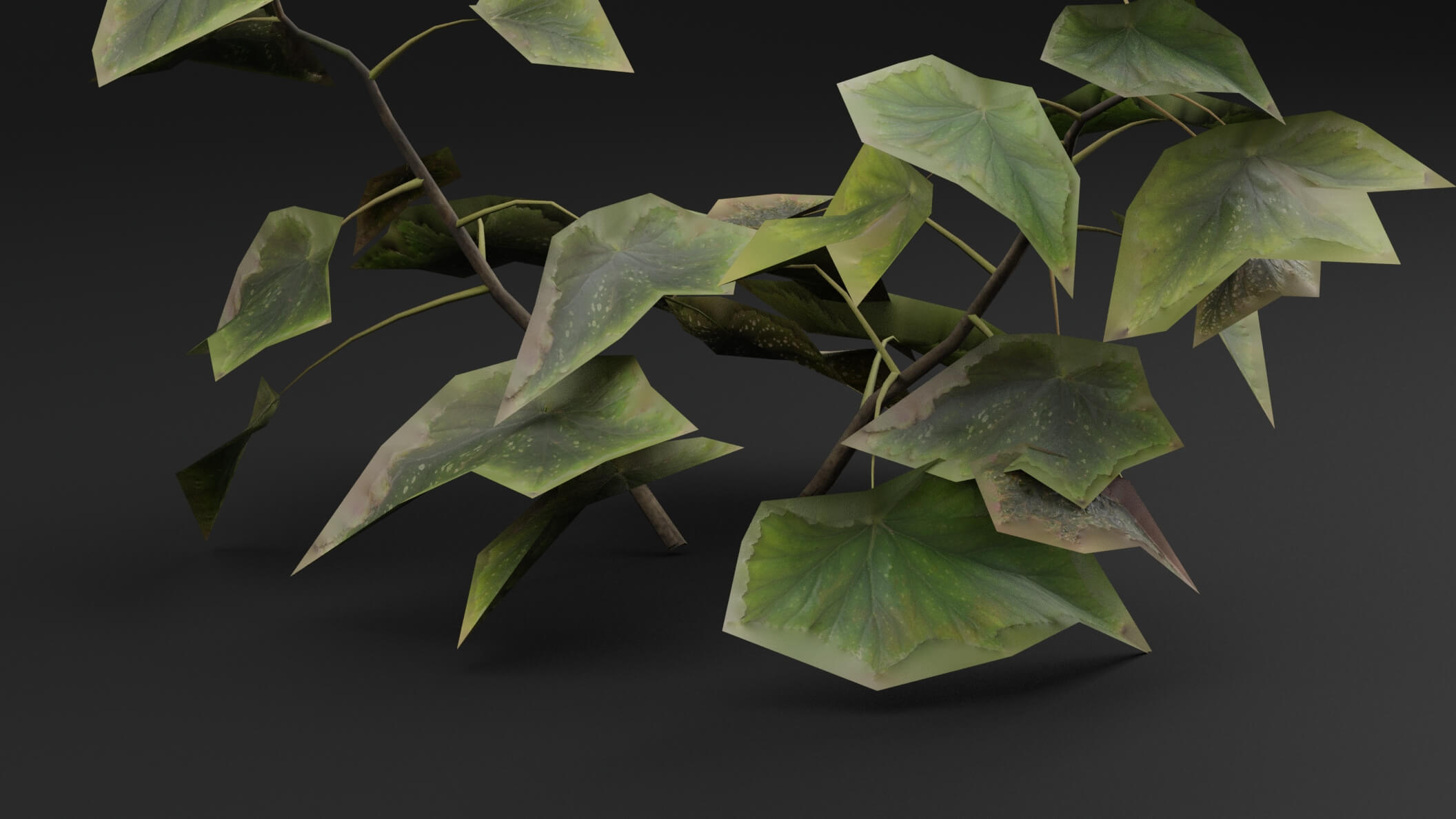 Realistic Ground Plants - 3D Model by Green Lander