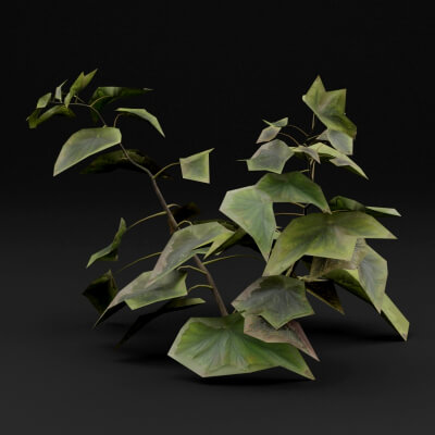 Realistic Ground Plants - 3D Model by Green Lander