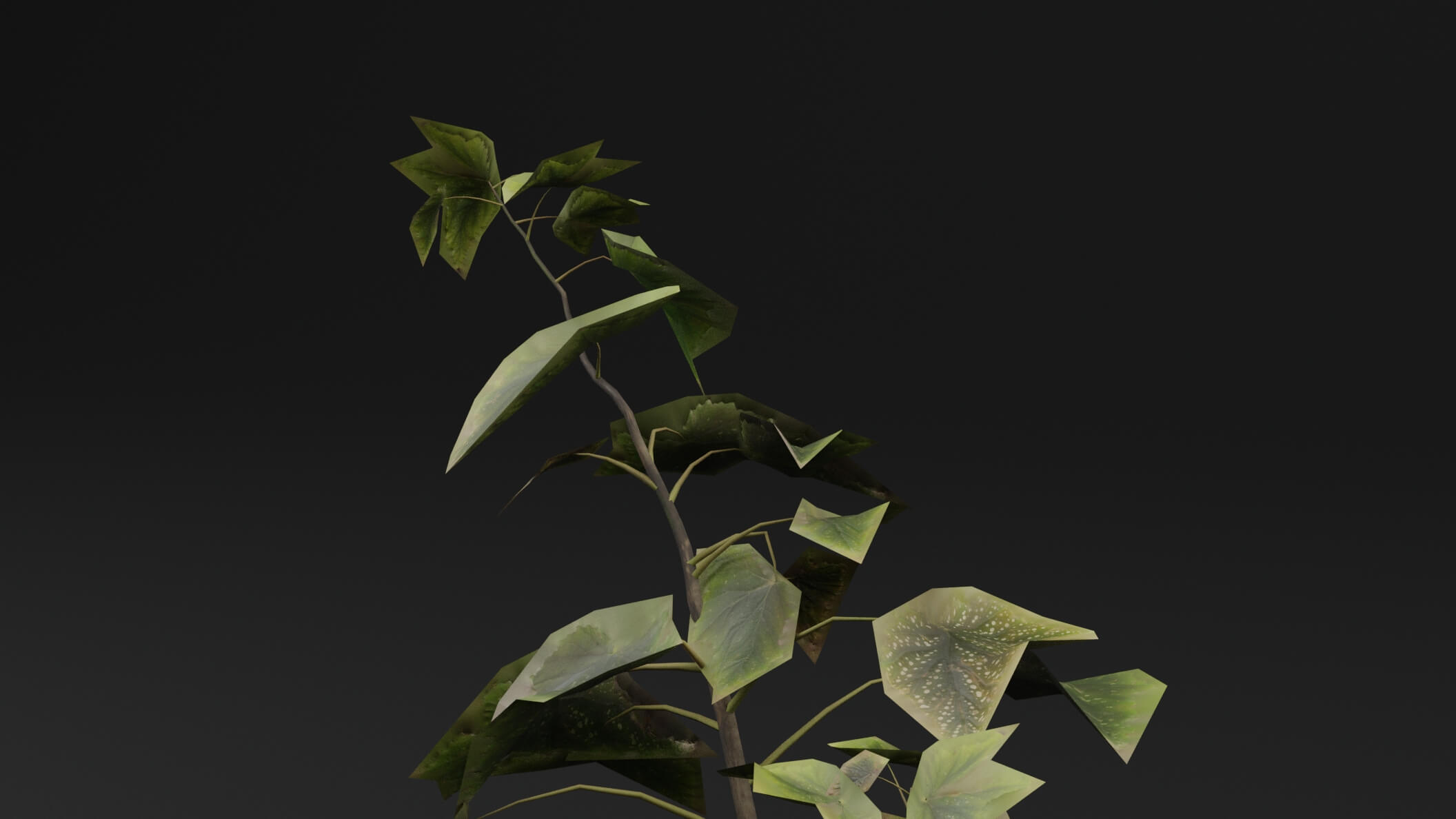 Realistic Ground Plants - 3D Model by Green Lander