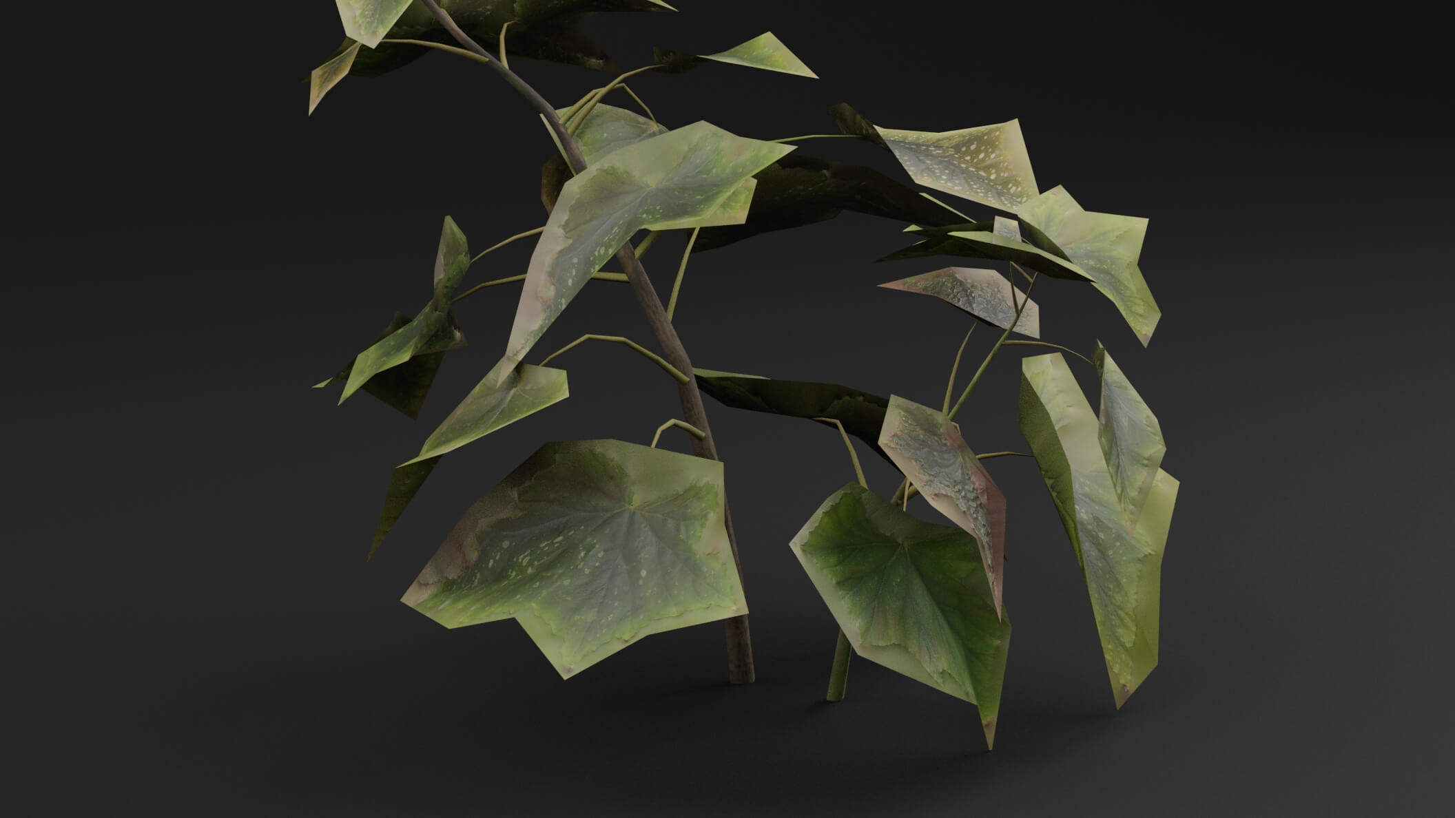 Realistic Ground Plants - 3D Model by Green Lander