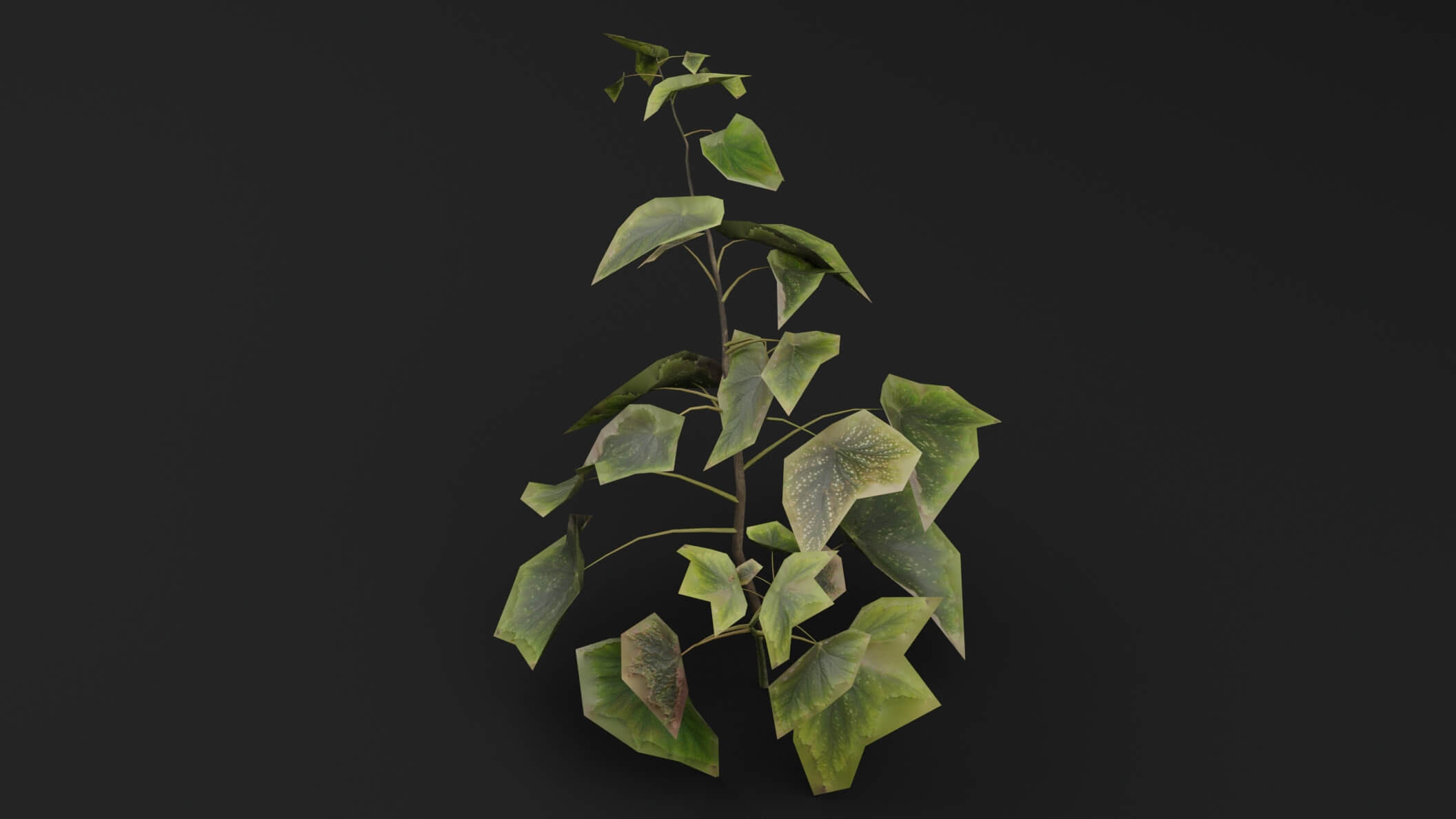 Realistic Ground Plants - 3D Model by Green Lander