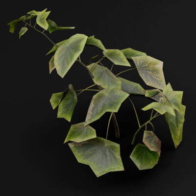 Realistic Ground Plants - 3D Model by Green Lander