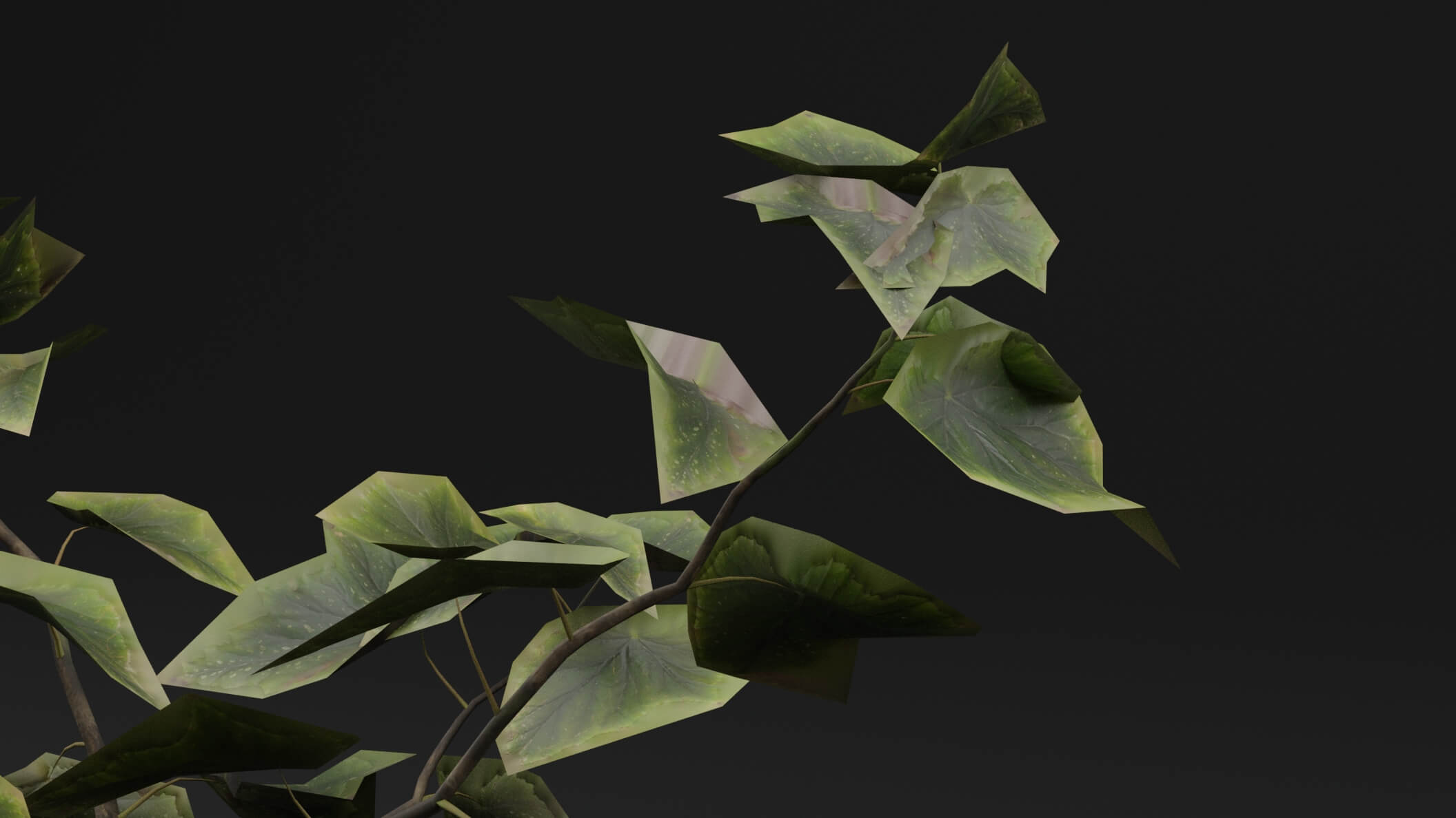 Realistic Ground Plants - 3D Model by Green Lander