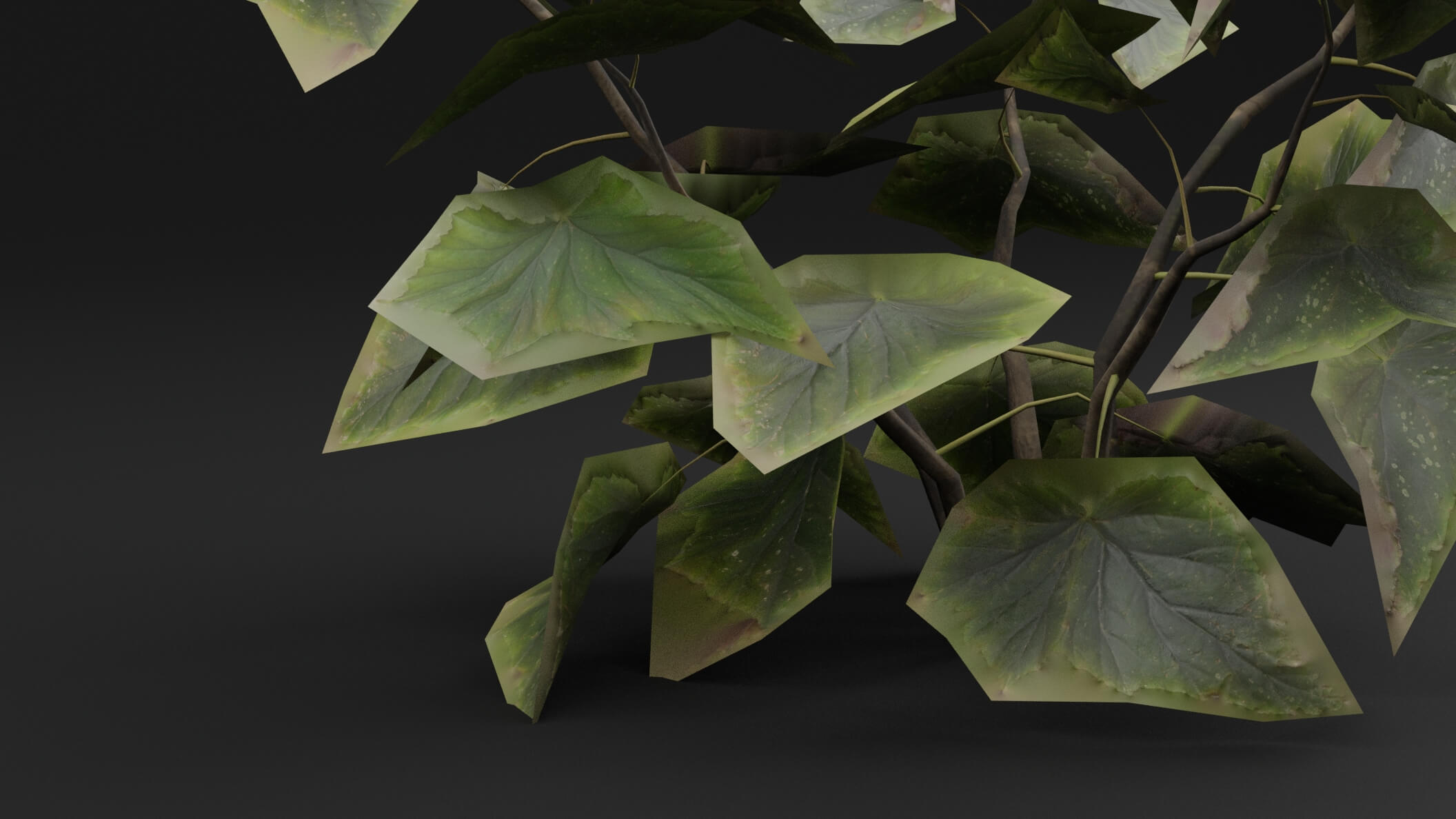 Realistic Ground Plants - 3D Model by Green Lander