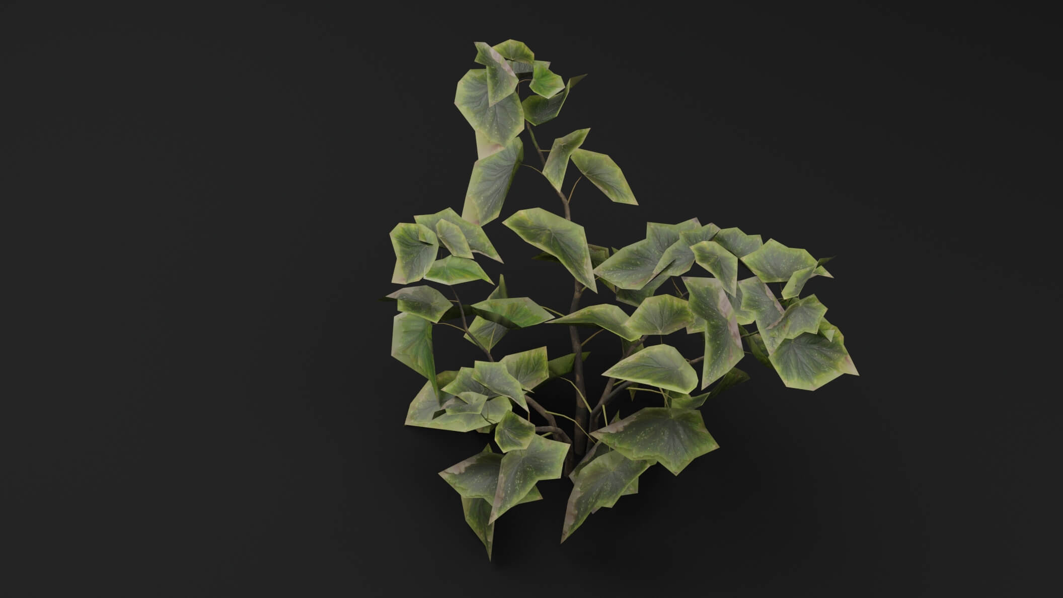 Realistic Ground Plants - 3D Model by Green Lander