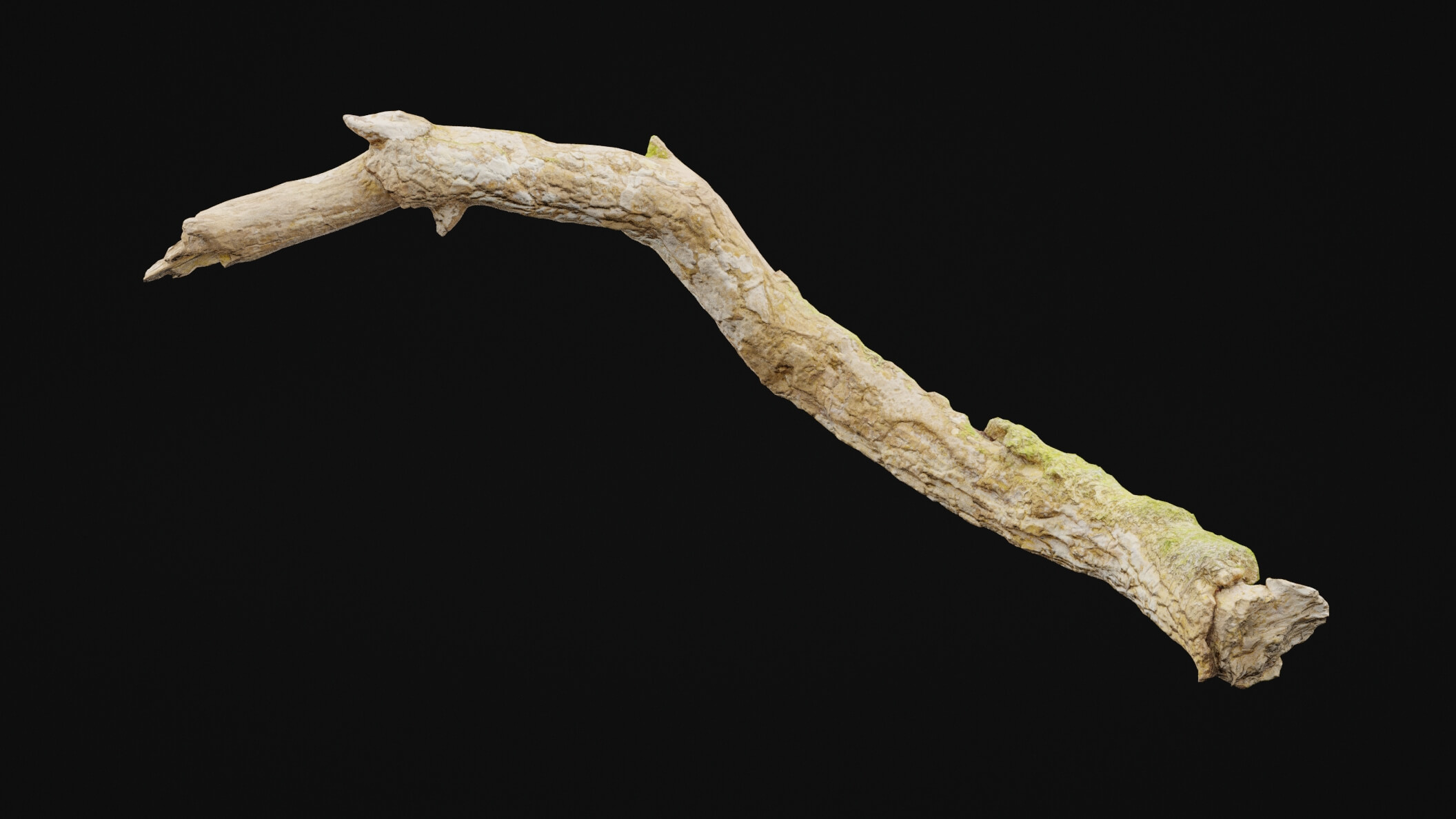 Realistic Tree Branch - 3D Model by Green Lander