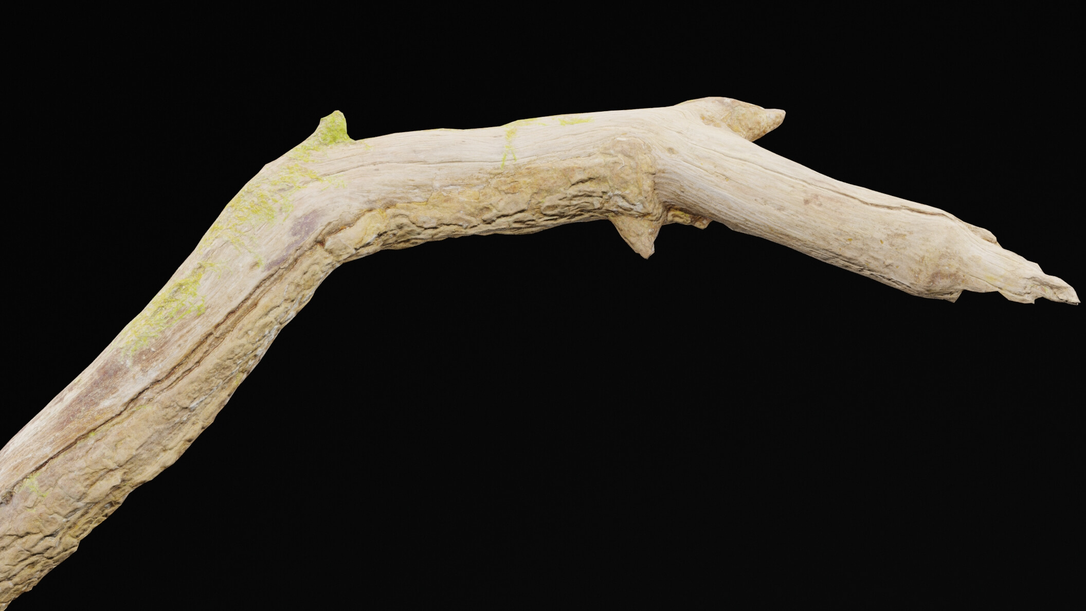 Realistic Tree Branch - 3D Model by Green Lander