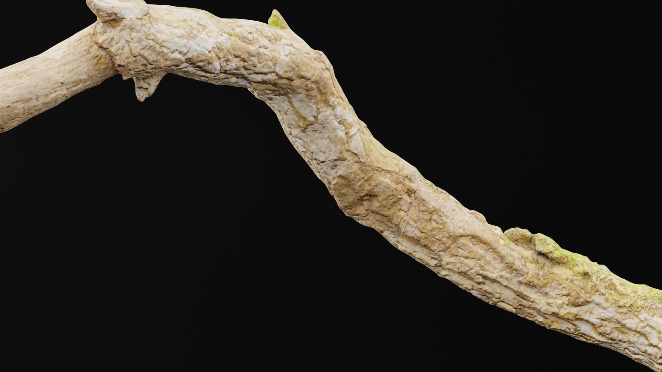 Realistic Tree Branch - 3D Model by Green Lander