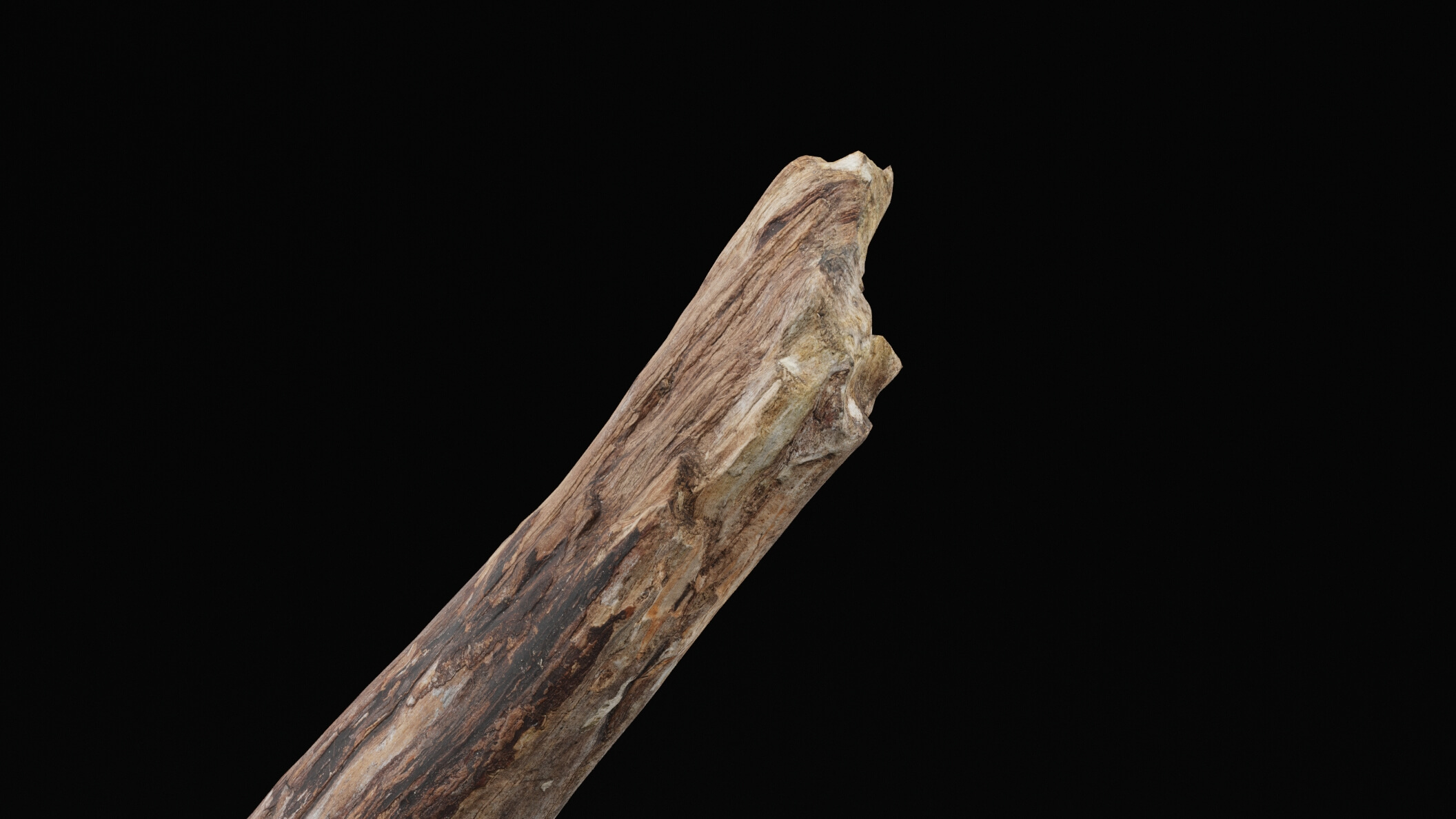 Realistic Tree Branch - 3D Model by Green Lander