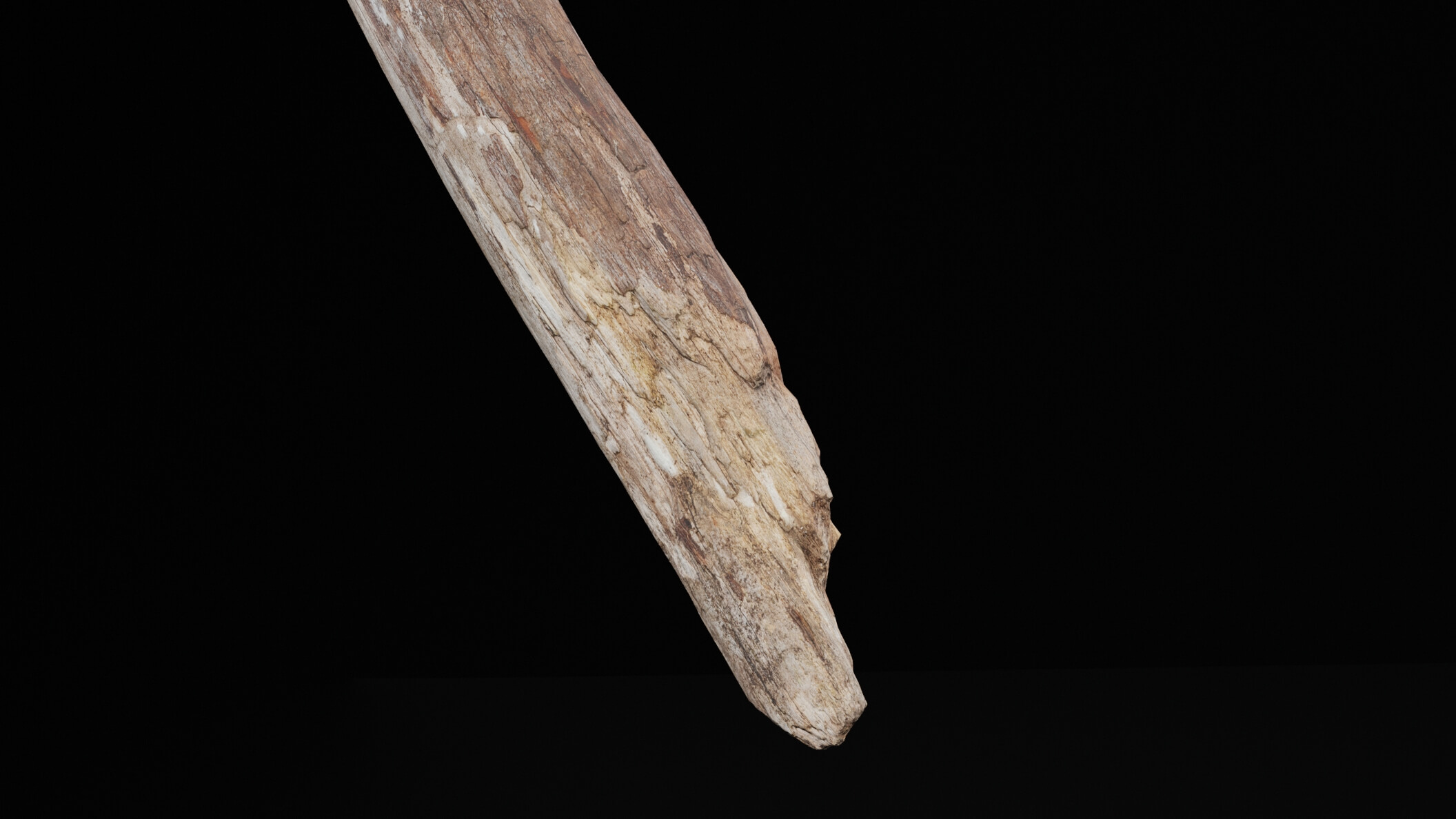 Realistic Tree Branch - 3D Model by Green Lander