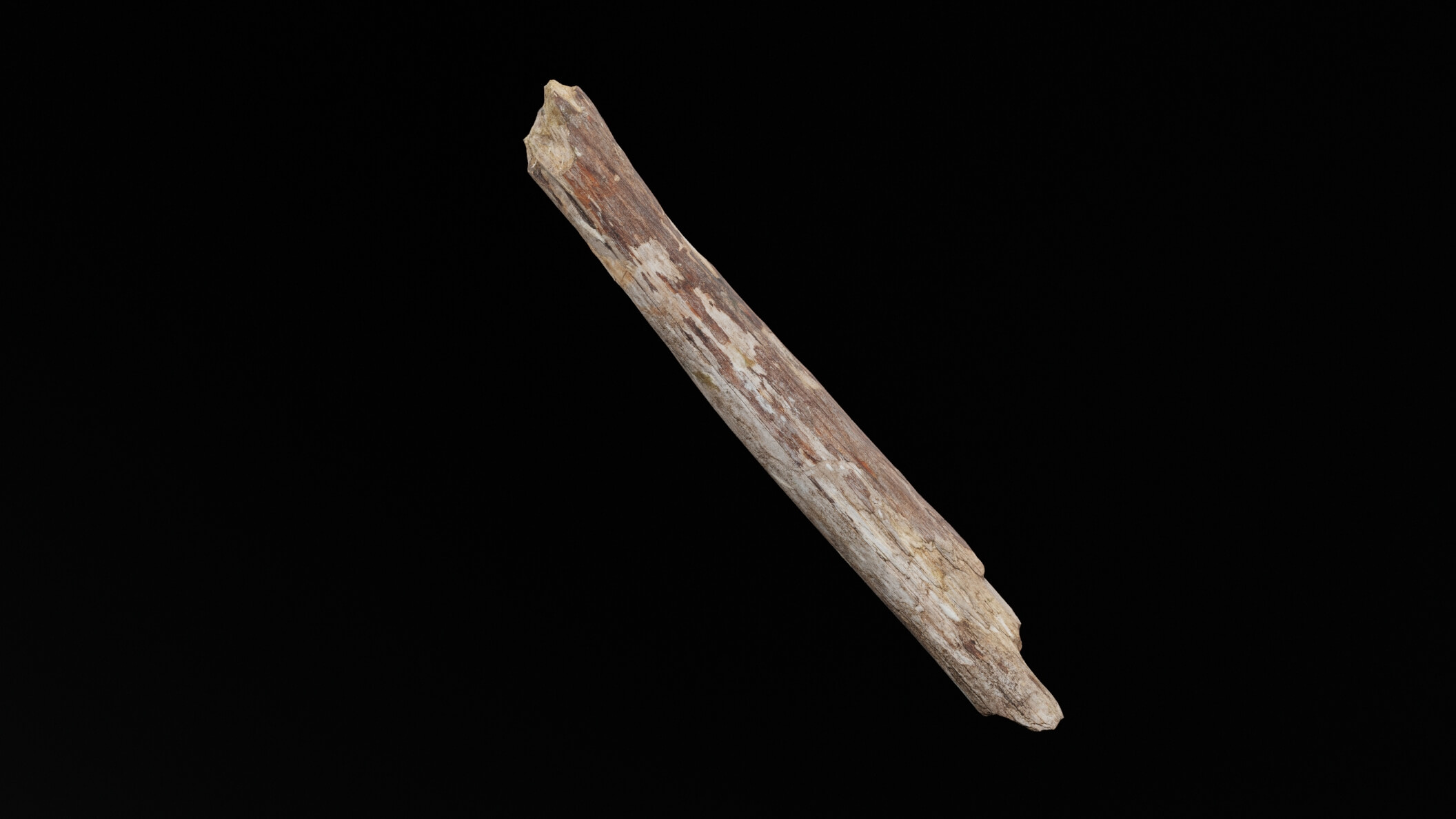 Realistic Tree Branch - 3D Model by Green Lander