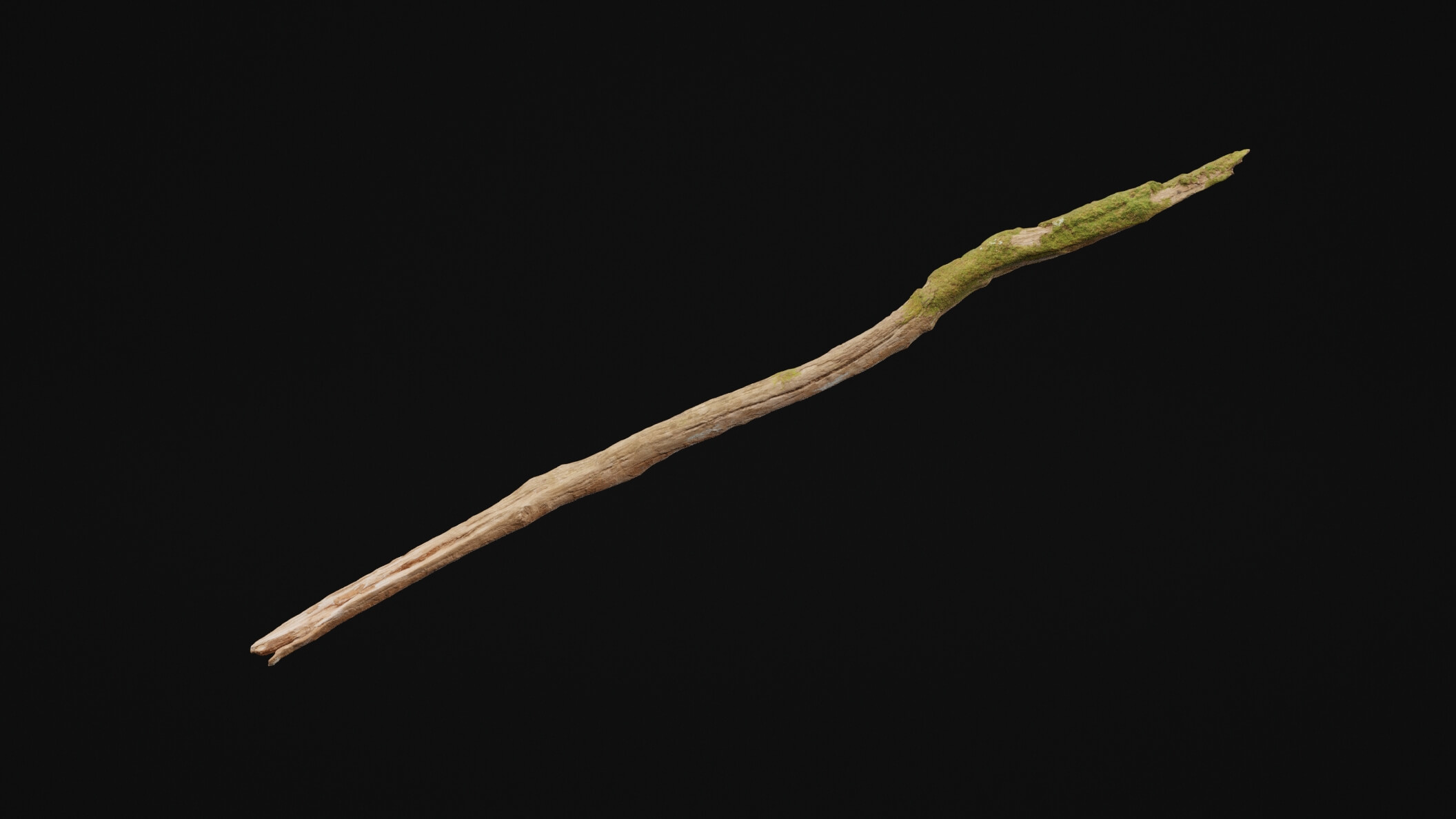 Realistic Tree Branch - 3D Model by Green Lander