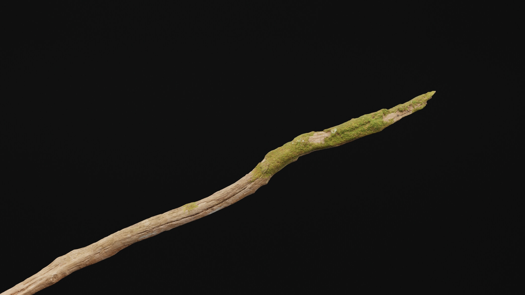 Realistic Tree Branch - 3D Model by Green Lander