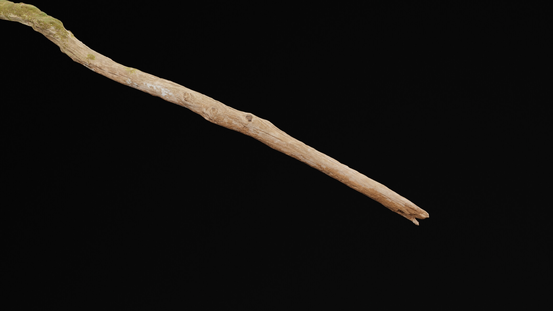 Realistic Tree Branch - 3D Model by Green Lander