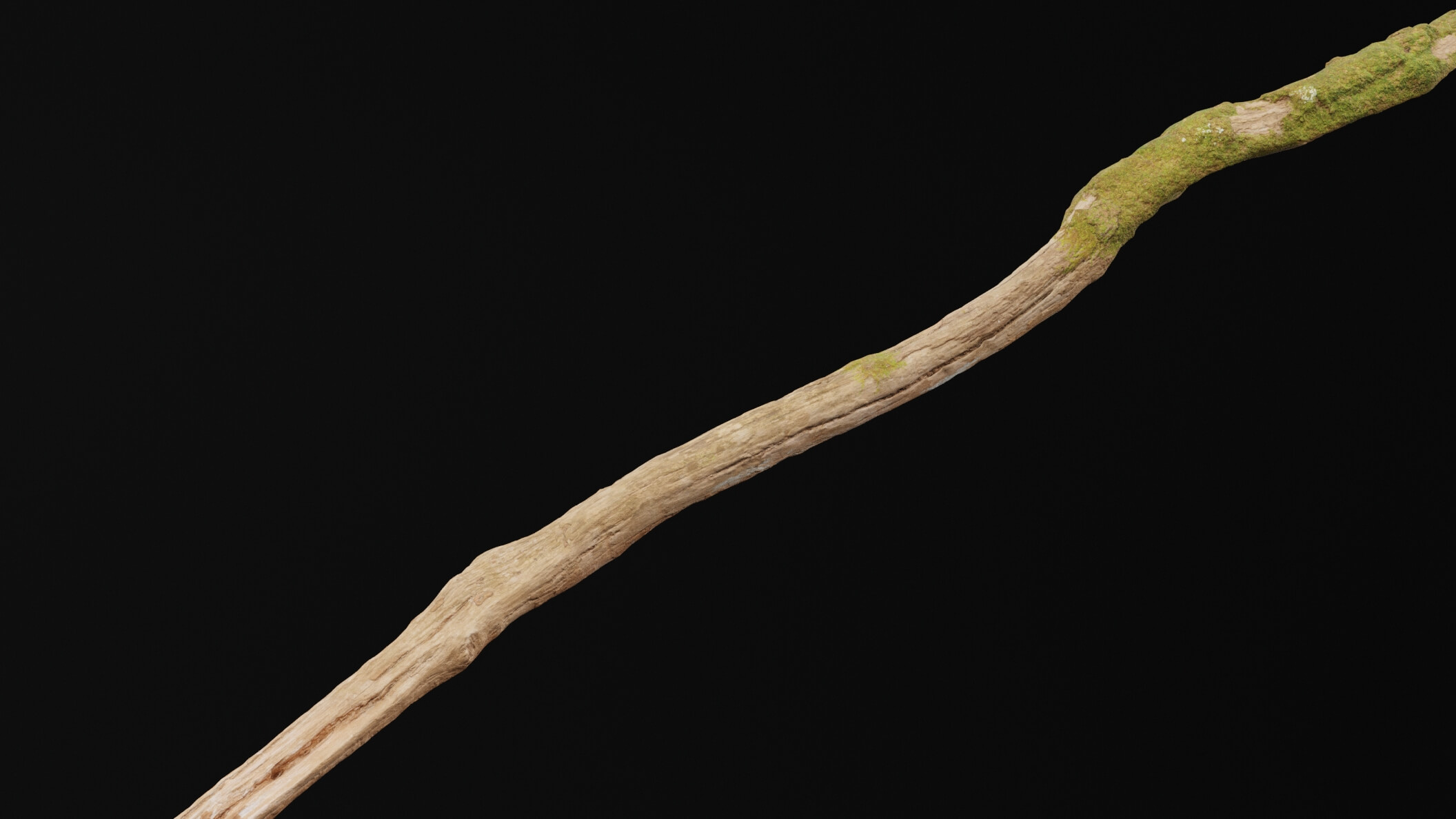 Realistic Tree Branch - 3D Model by Green Lander