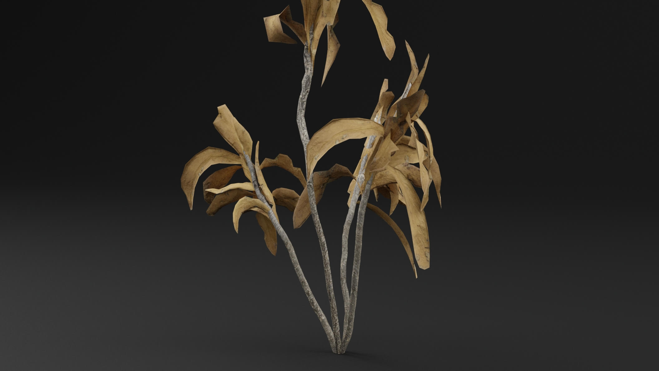 Rhazya Stricta Plant - 3D Model by Green Lander