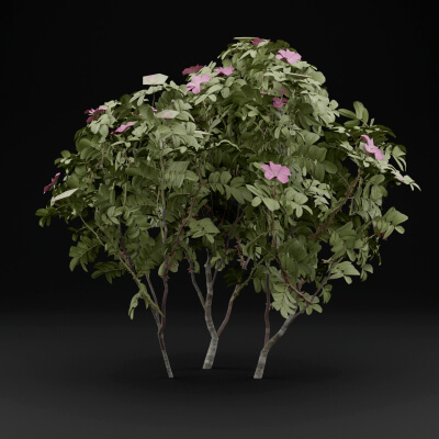 Rose Hip Plant - 3D Model by Green Lander