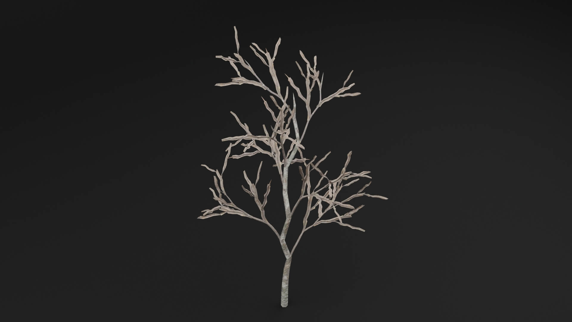 Rose Hip Plant - 3D Model by Green Lander