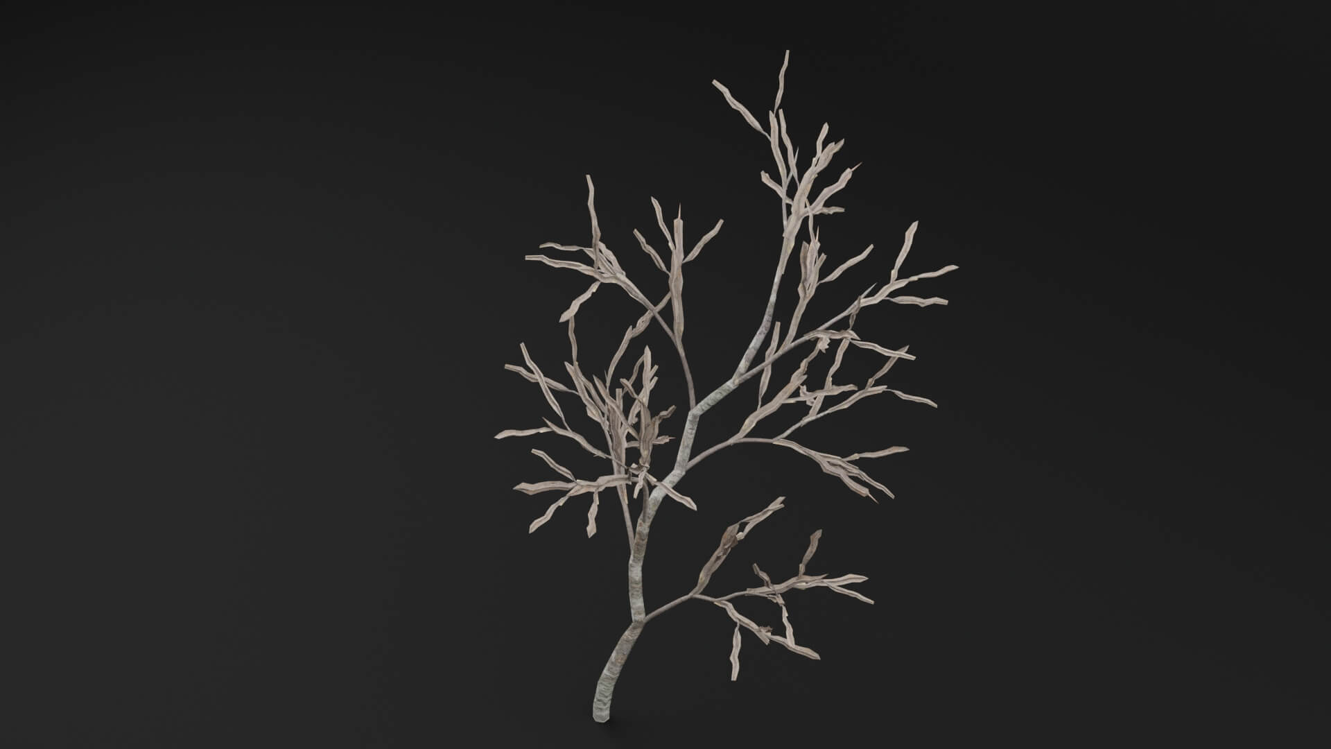 Rose Hip Plant - 3D Model by Green Lander