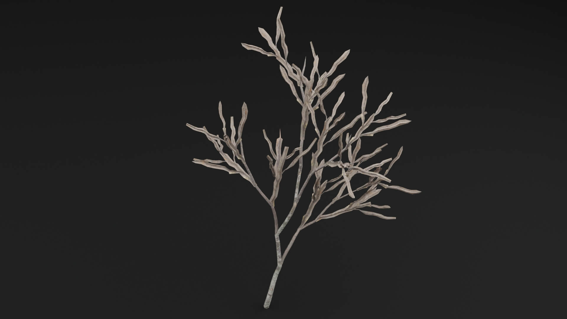 Rose Hip Plant - 3D Model by Green Lander
